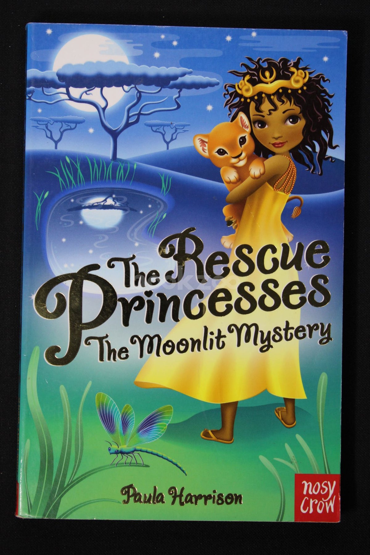 Buy The Rescue Princesses: The Moonlit Mystery at online bookstore ...