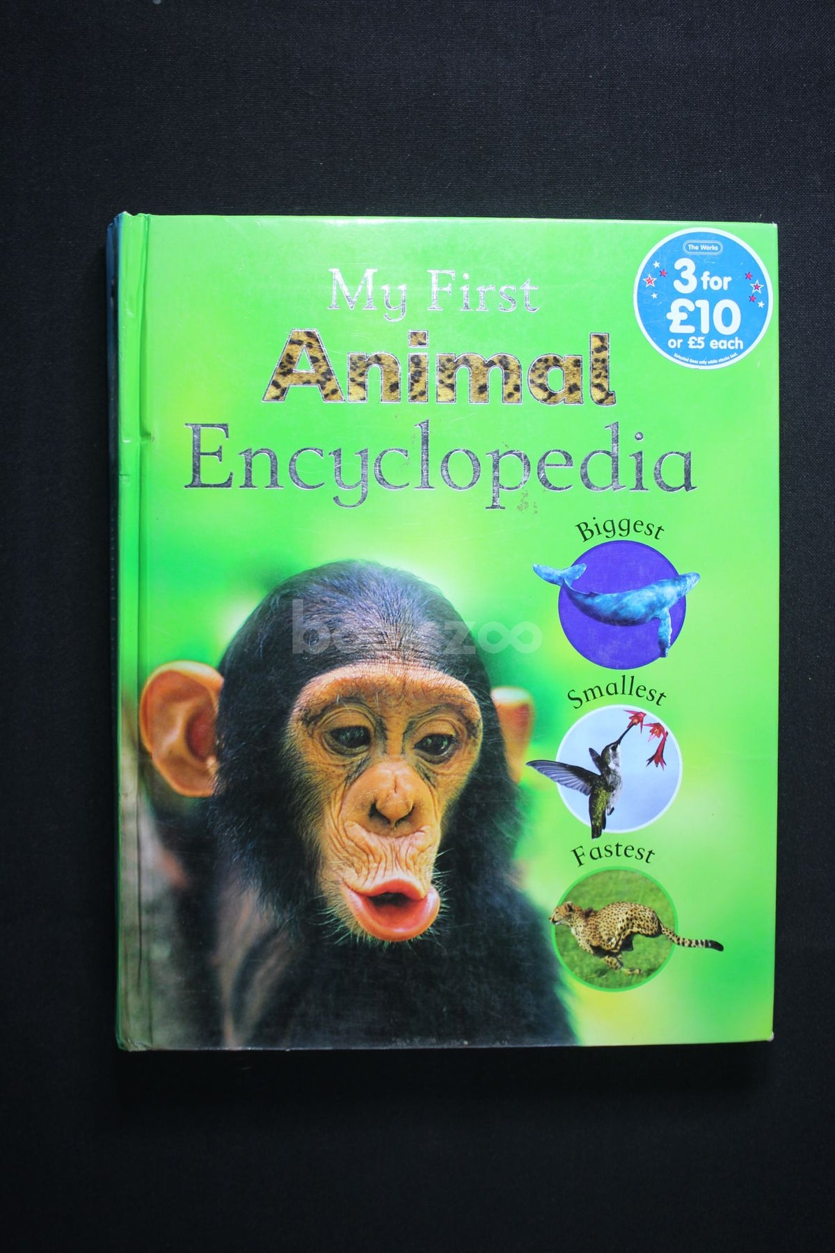 Buy My first animal Encyclopedia at online bookstore bookzoo.in ...