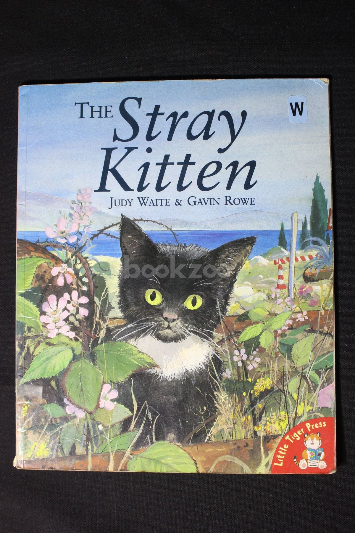 Buy The Stray Kitten at online bookstore bookzoo.in — Bookzoo.in