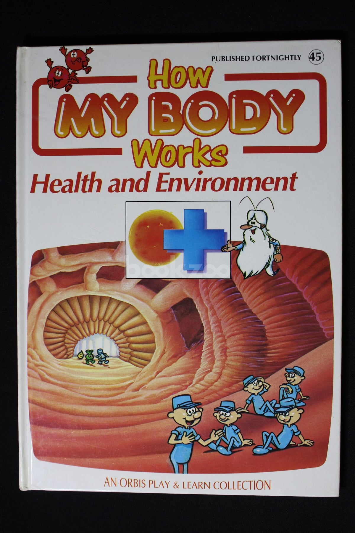 Buy How my body works : Health and Environment at online bookstore ...