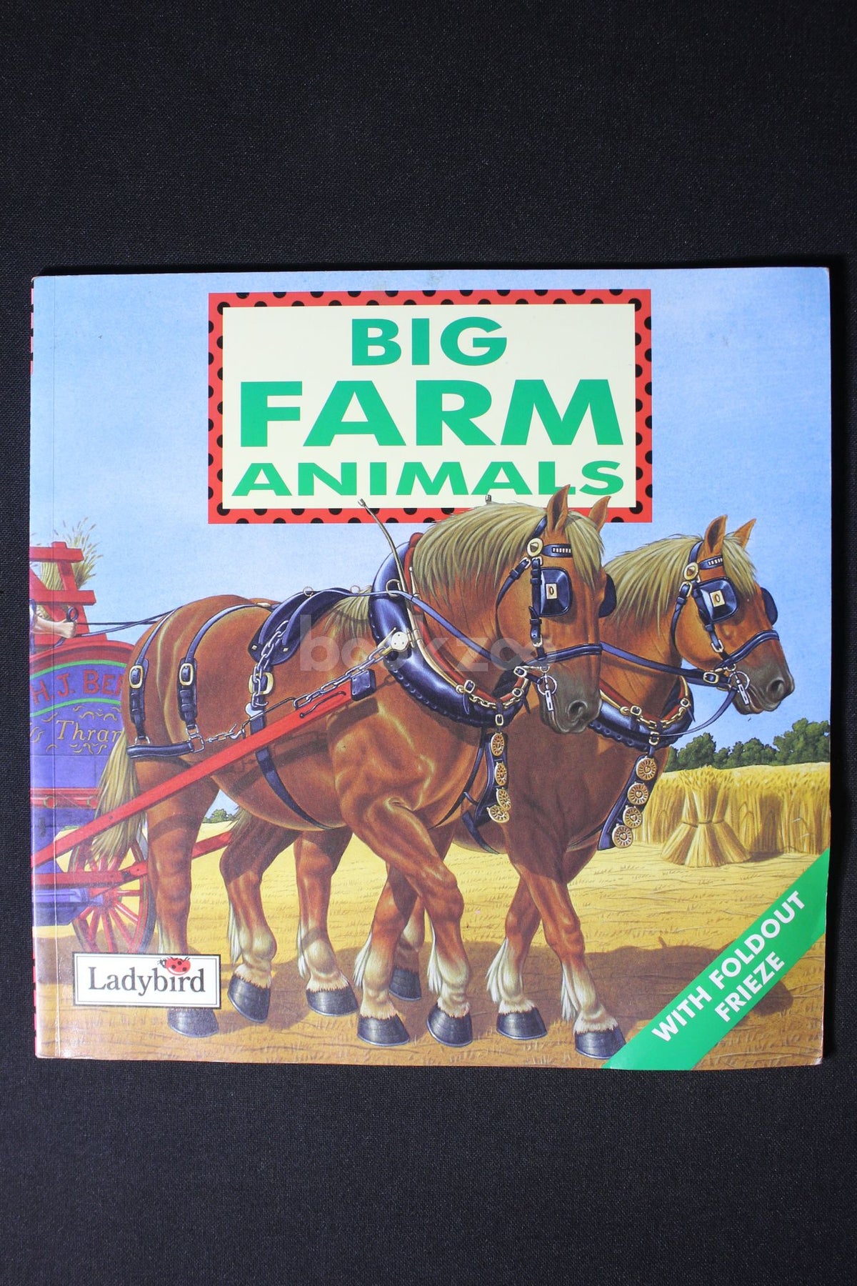 Buy Big Farm Animals at online bookstore bookzoo.in — Bookzoo.in