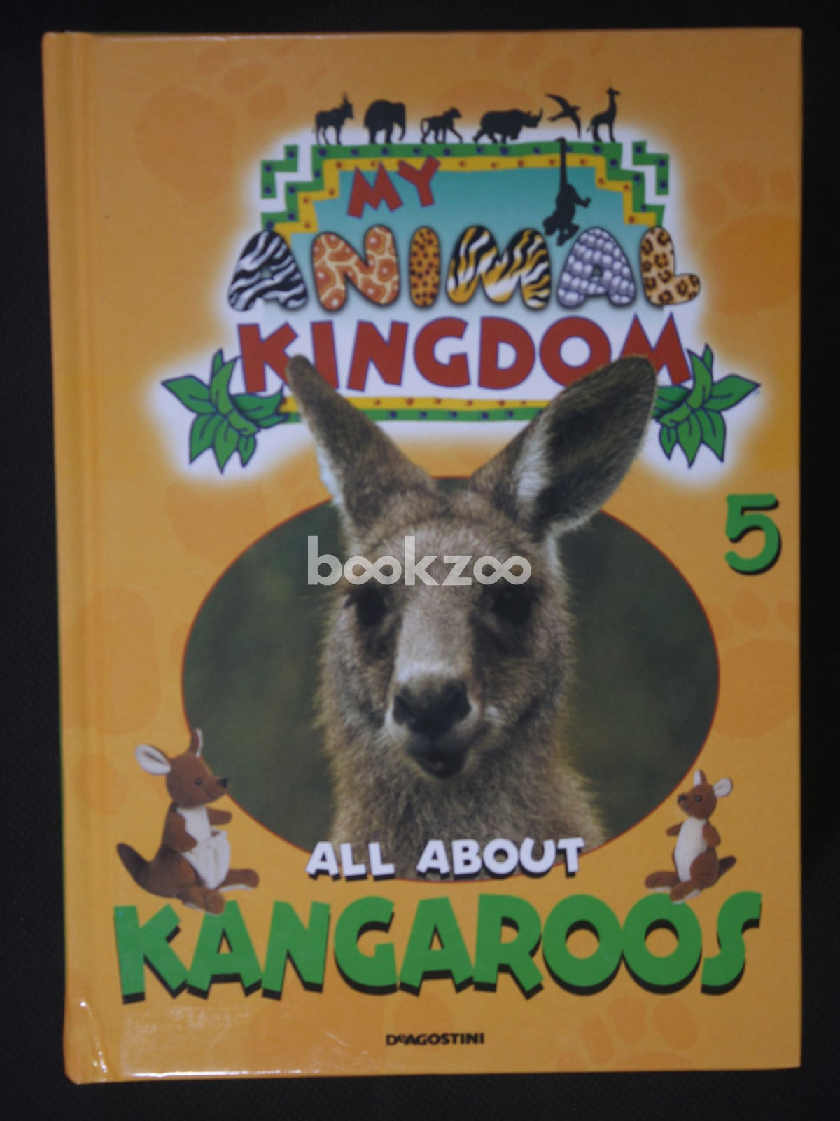 Buy My Animal Kingdom All about Kangaroos by Deagostini Books at Online ...