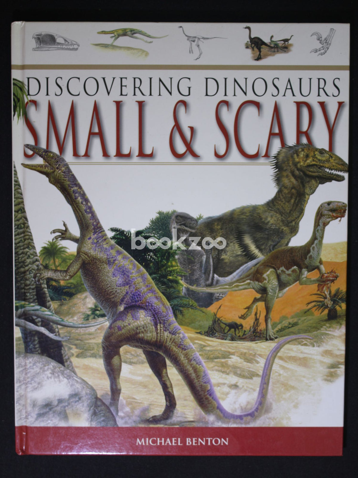 Buy Small And Scary (Discovering Dinosaurs Series) by Michael J. Benton ...
