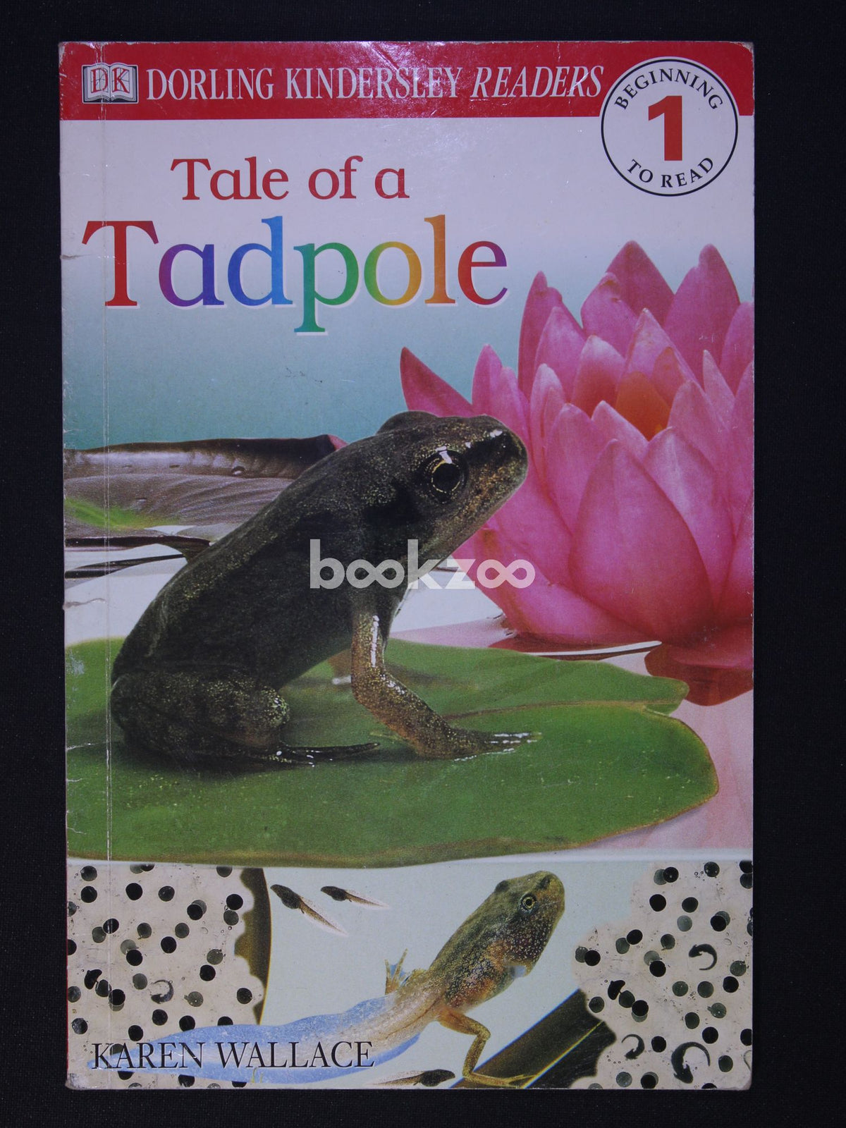 Buy DK Readers: Tale of a Tadpole, Level 1 by Karen Wallace at Online ...