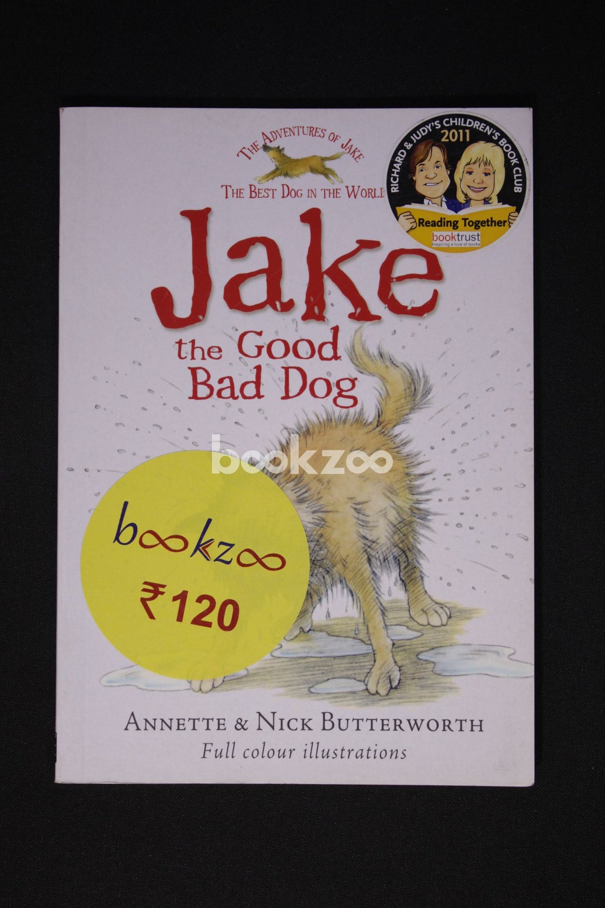 Buy JAKE THE GOOD BAD DOG by Annette Butterworth at Online bookstore ...