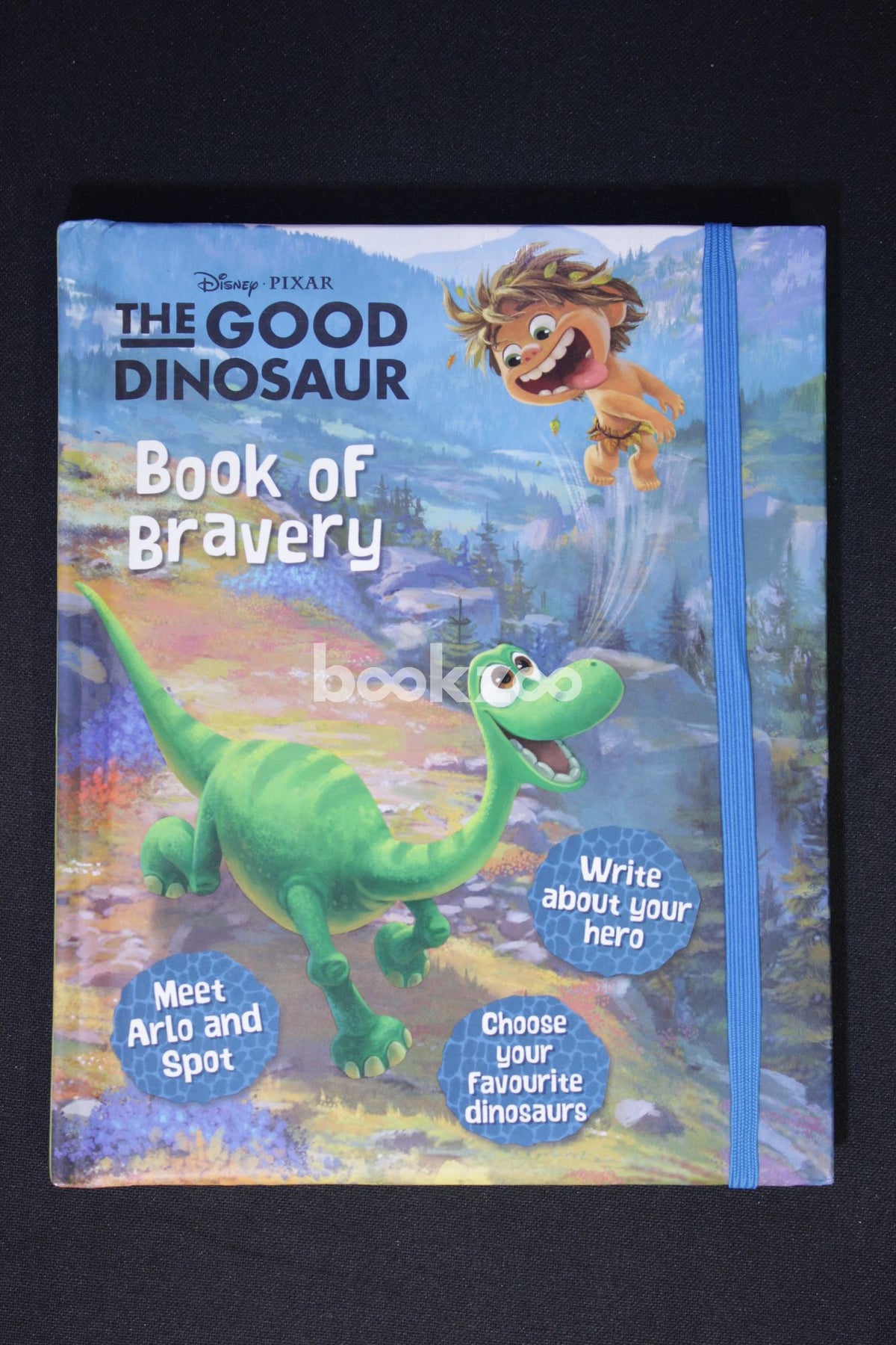 Buy Disney Pixar The Good Dinosaur Book of Bravery by Parragon Books at ...