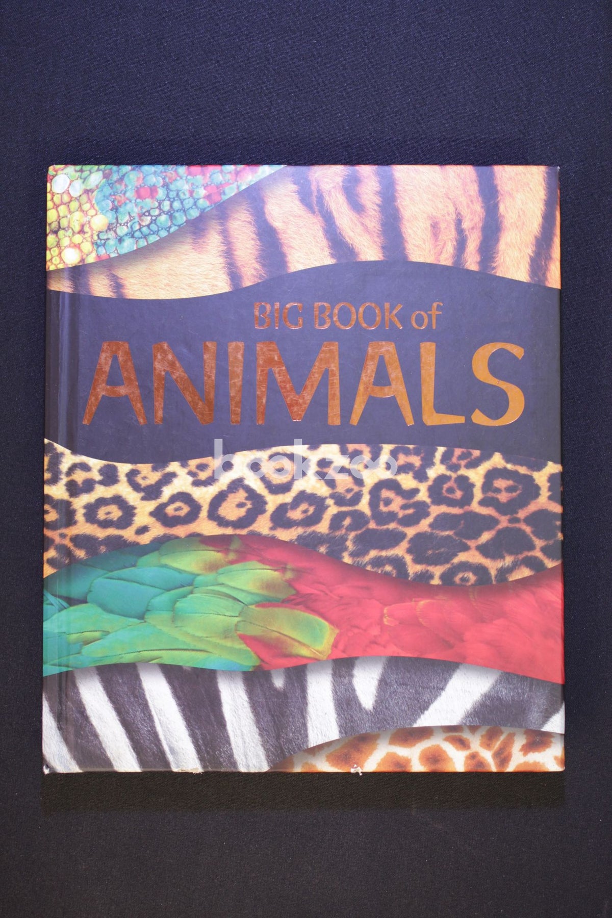 Buy Big Book of Animals by Igloo Books at Online bookstore bookzoo.in ...