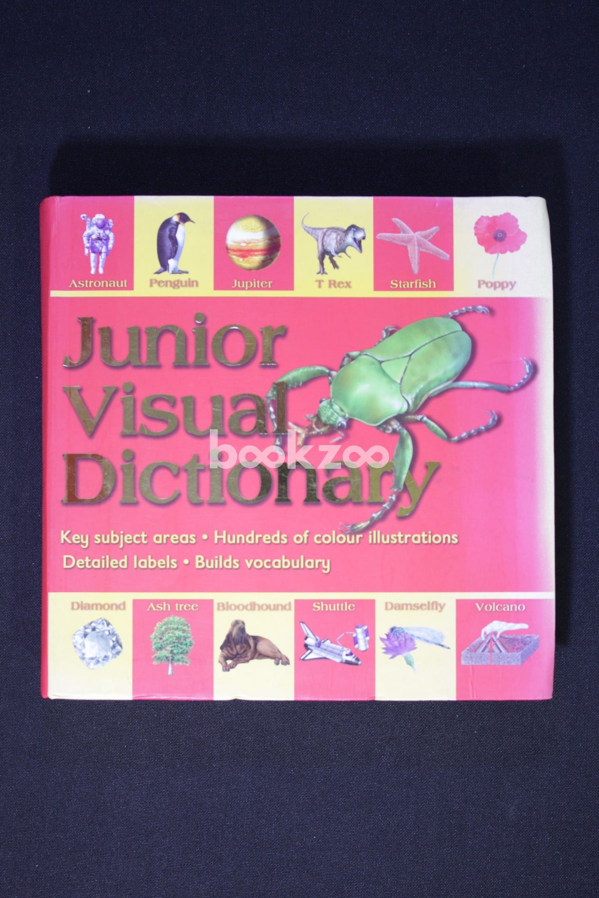 Buy Junior Visual Dictionary by Belinda Gallagher at Online bookstore bookzoo.in — Bookzoo.in