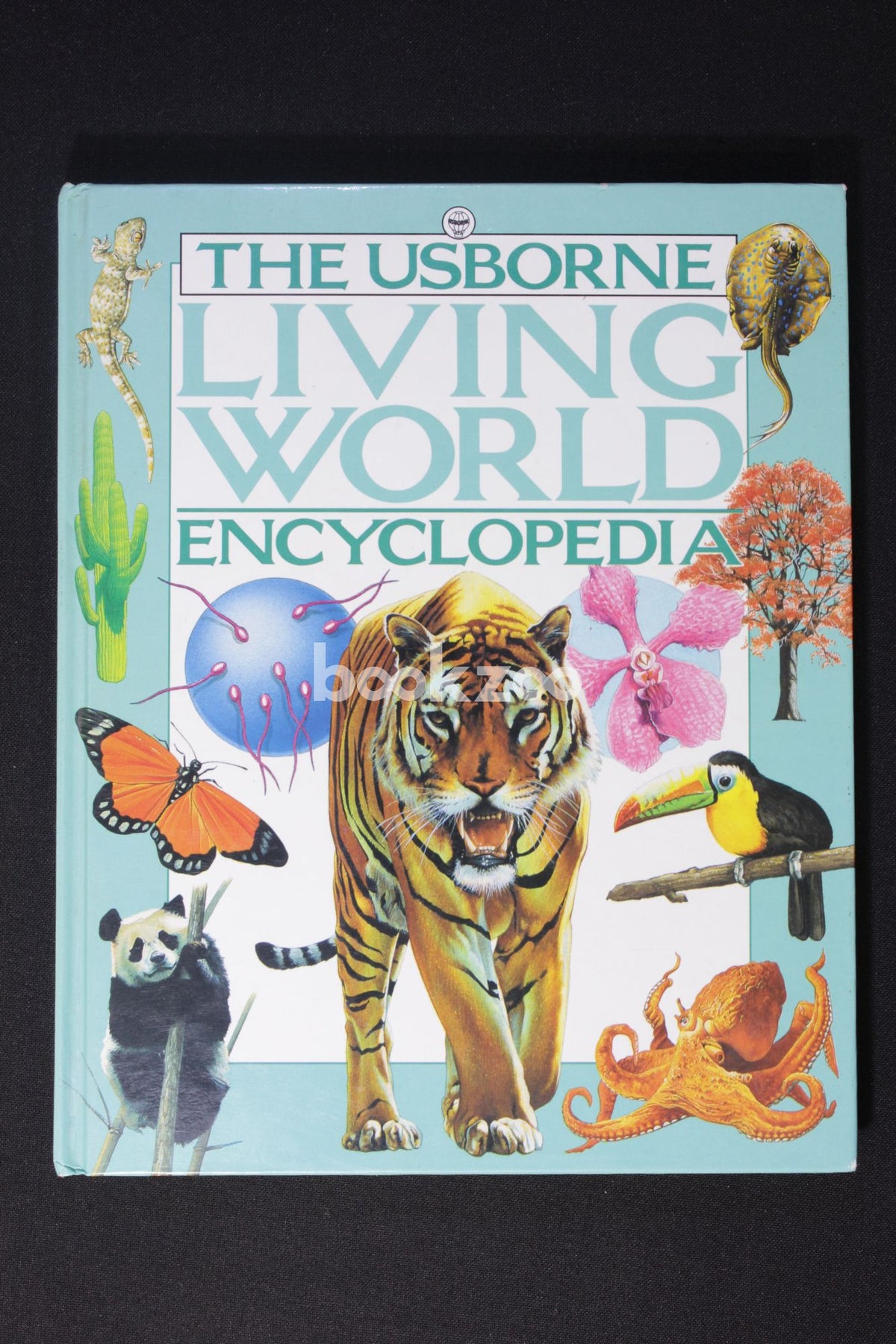 Buy Usborne Living World Encyclopedia by Emma Speare, Leslie Colvin at ...