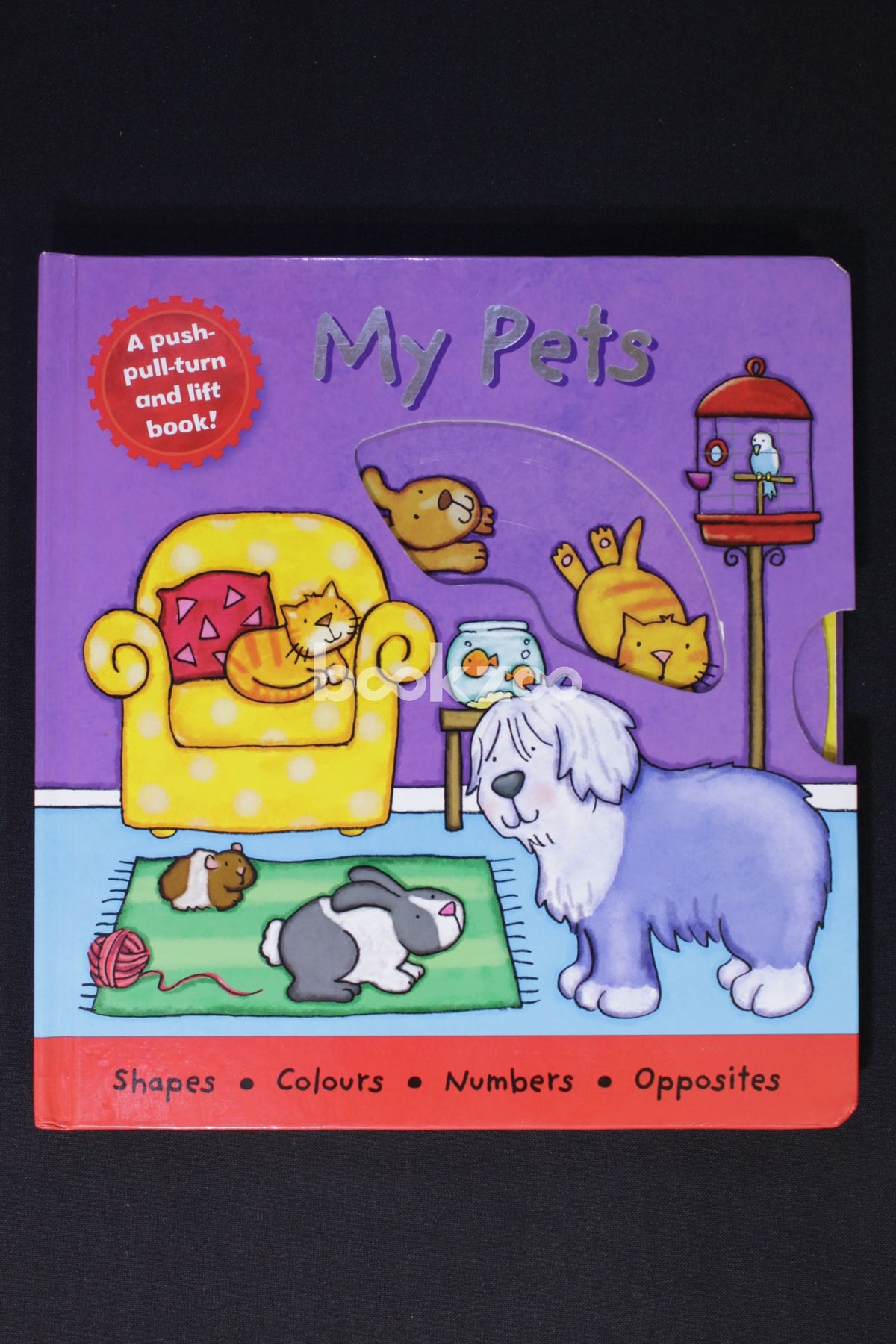 Buy My Pets by Igloo Books at Online bookstore bookzoo.in — Bookzoo.in