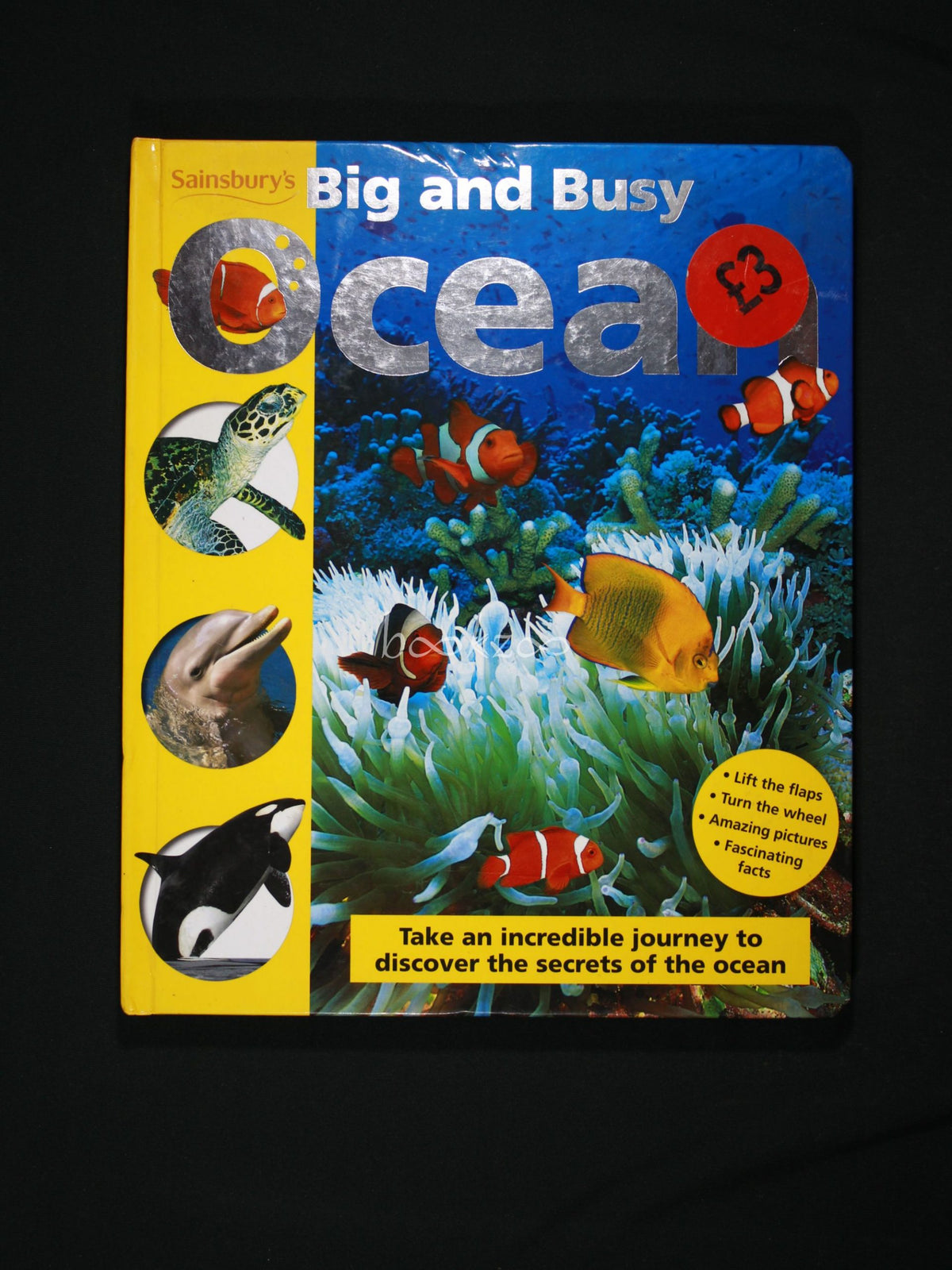 Buy Big and Busy Ocean by Roger Priddy, Hermione Edwards, Holly Russell ...