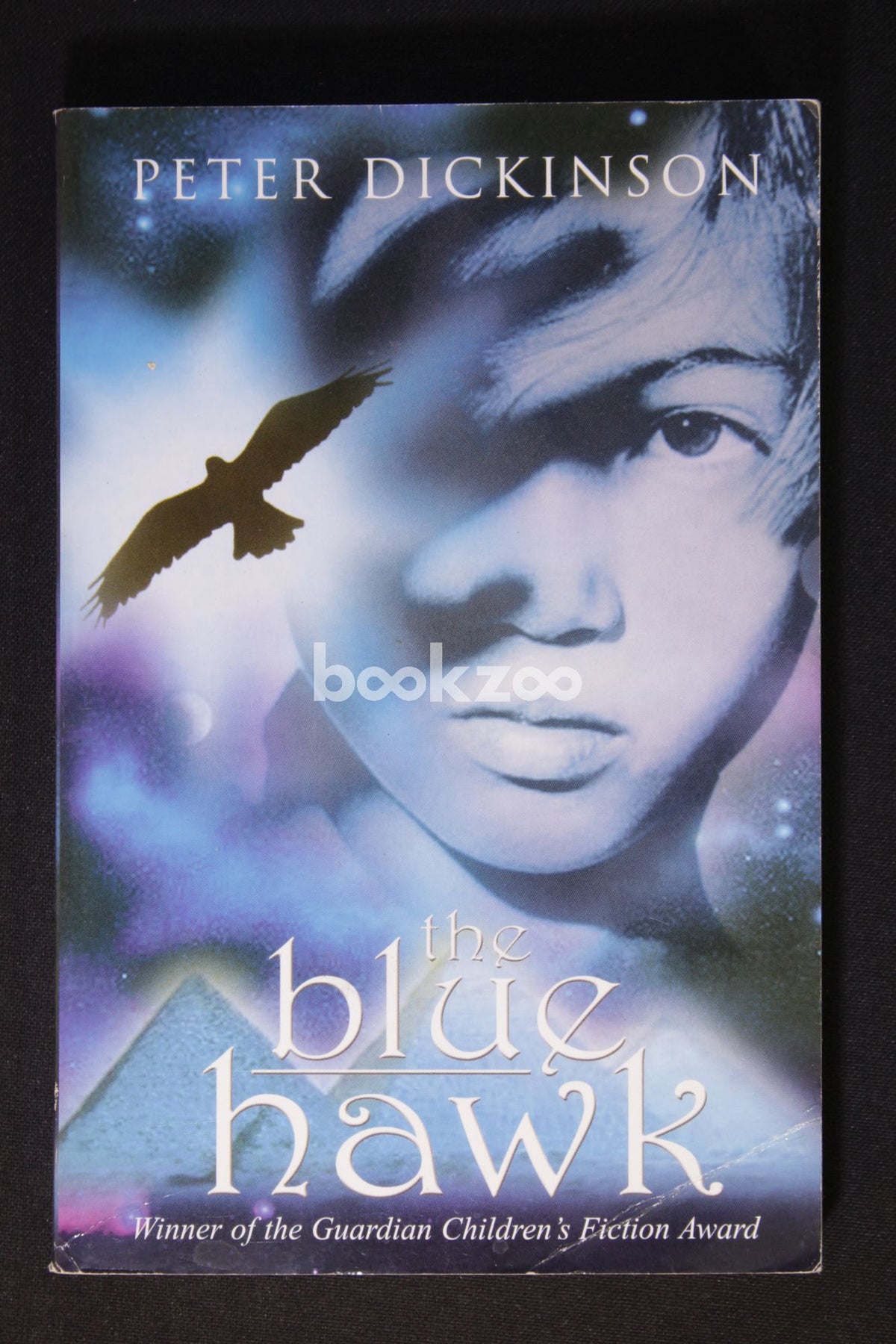 Buy The Blue Hawk by Peter Dickinson at Online bookstore bookzoo.in ...