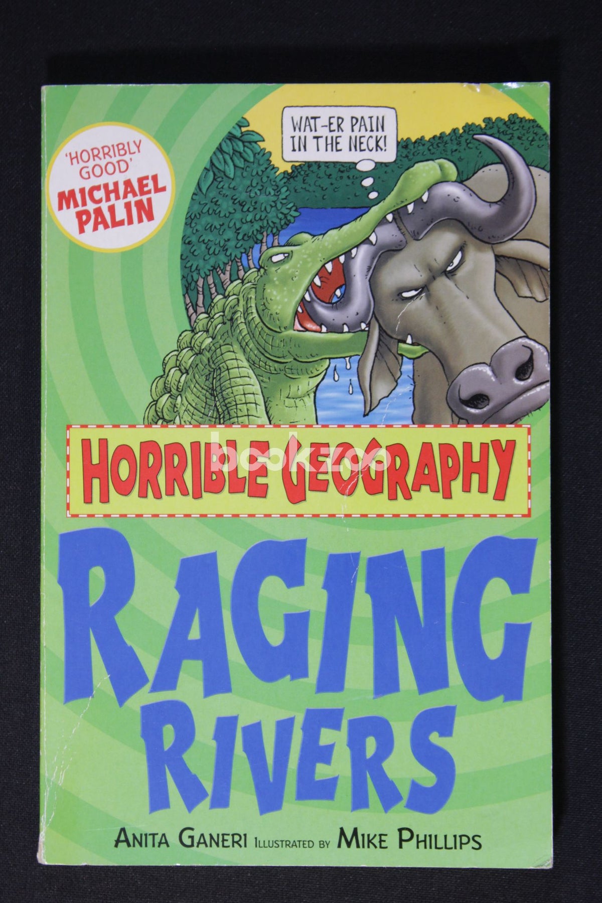 Buy Raging Rivers (Horrible Geography) by Anita Ganeri, Mike Phillips at Online bookstore ...