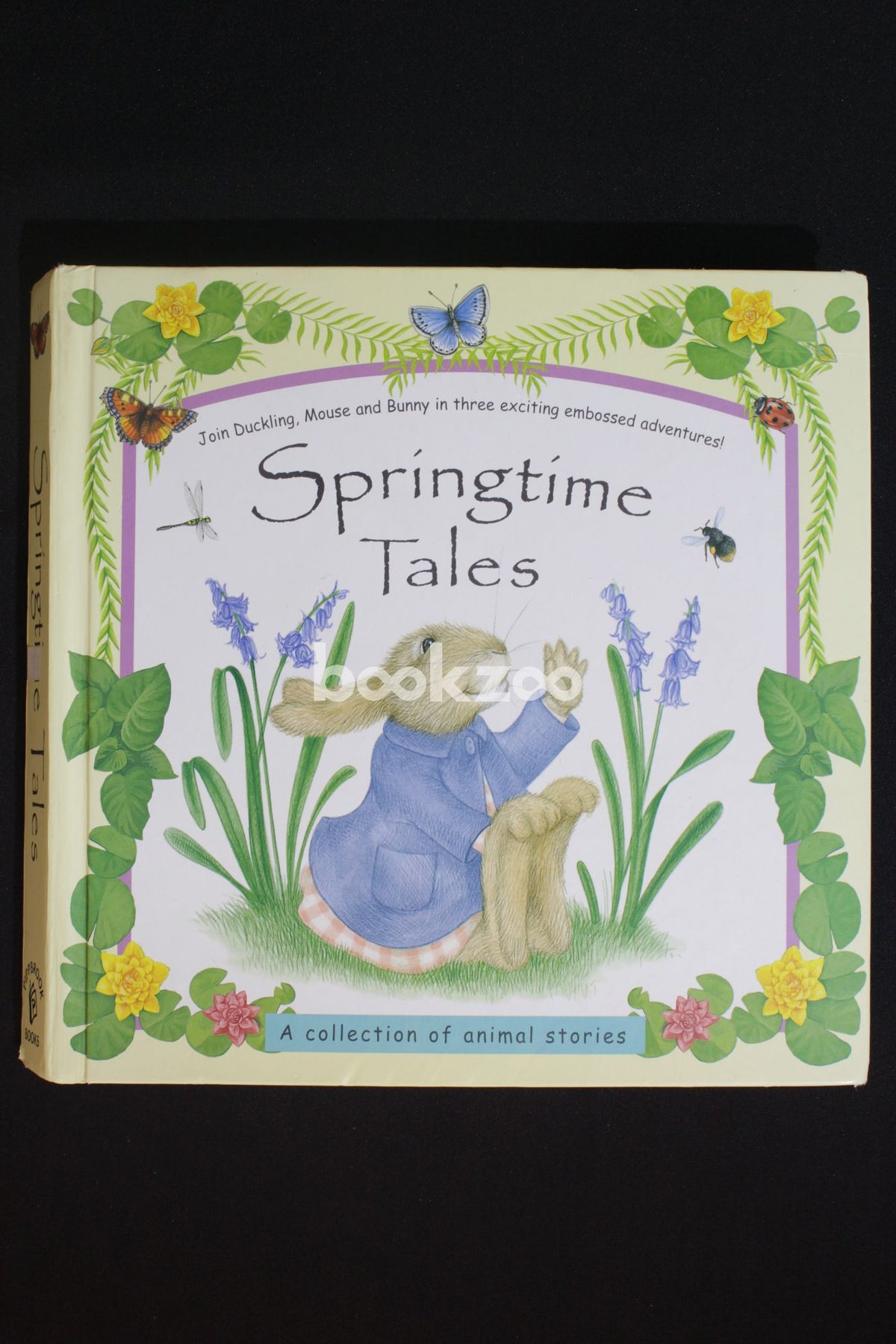Buy Springtime Tales by Sue Barraclough at Online bookstore bookzoo.in ...
