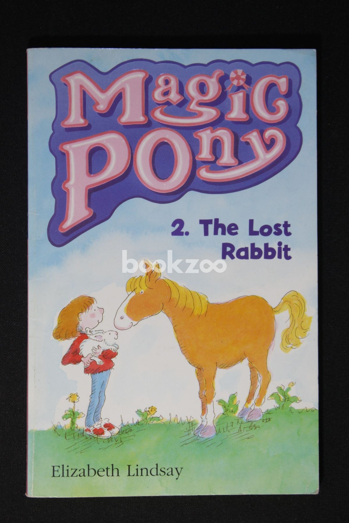 Buy The Lost Rabbit by Elizabeth Lindsay, John Eastwood at Online ...