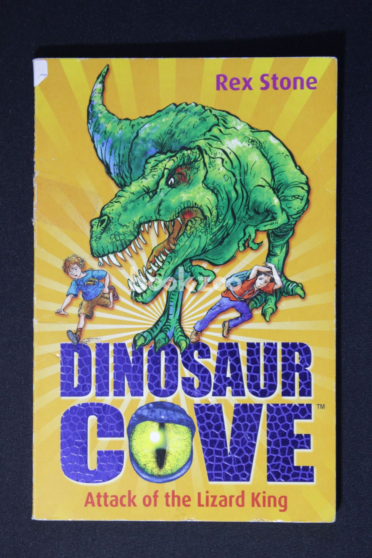 Buy Dinosaur Cove: Attack Of The Lizard King by Mike Spoor, Rex Stone ...
