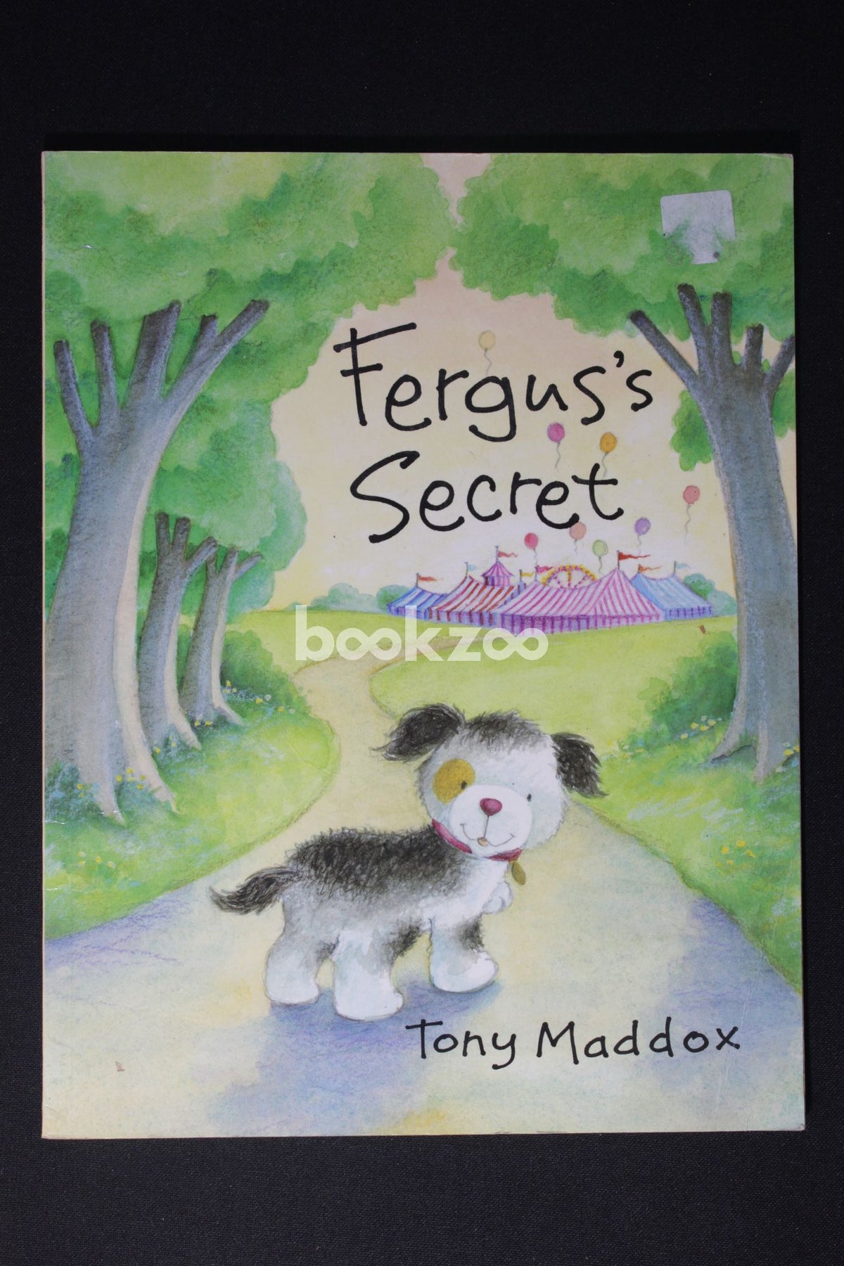 Buy Fergus's Secret by Tony Maddox at Online bookstore bookzoo.in — Bookzoo.in