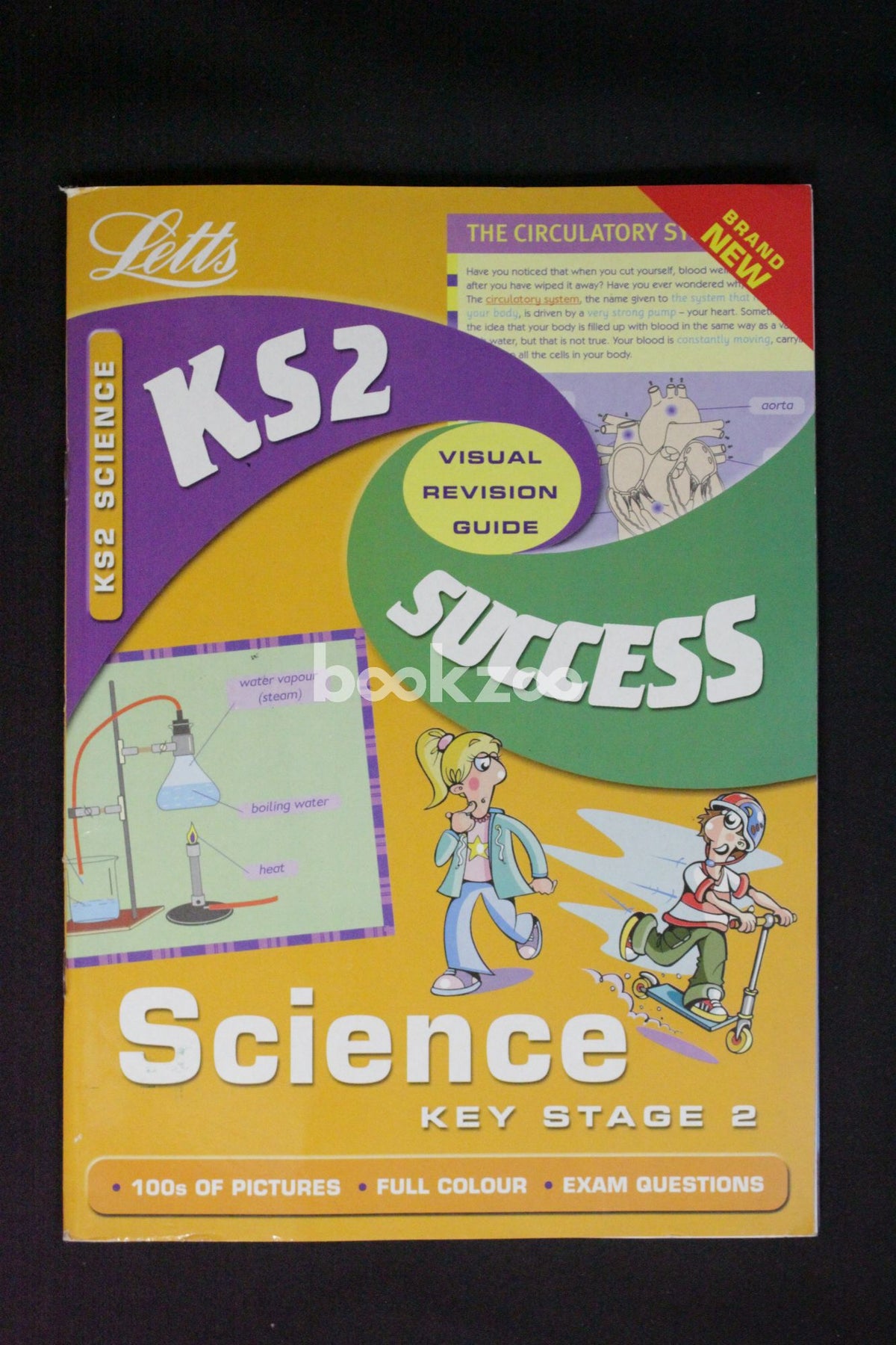 Buy KS2 Science Success Guide (Success Guides) by Lynn Huggins-Cooper ...