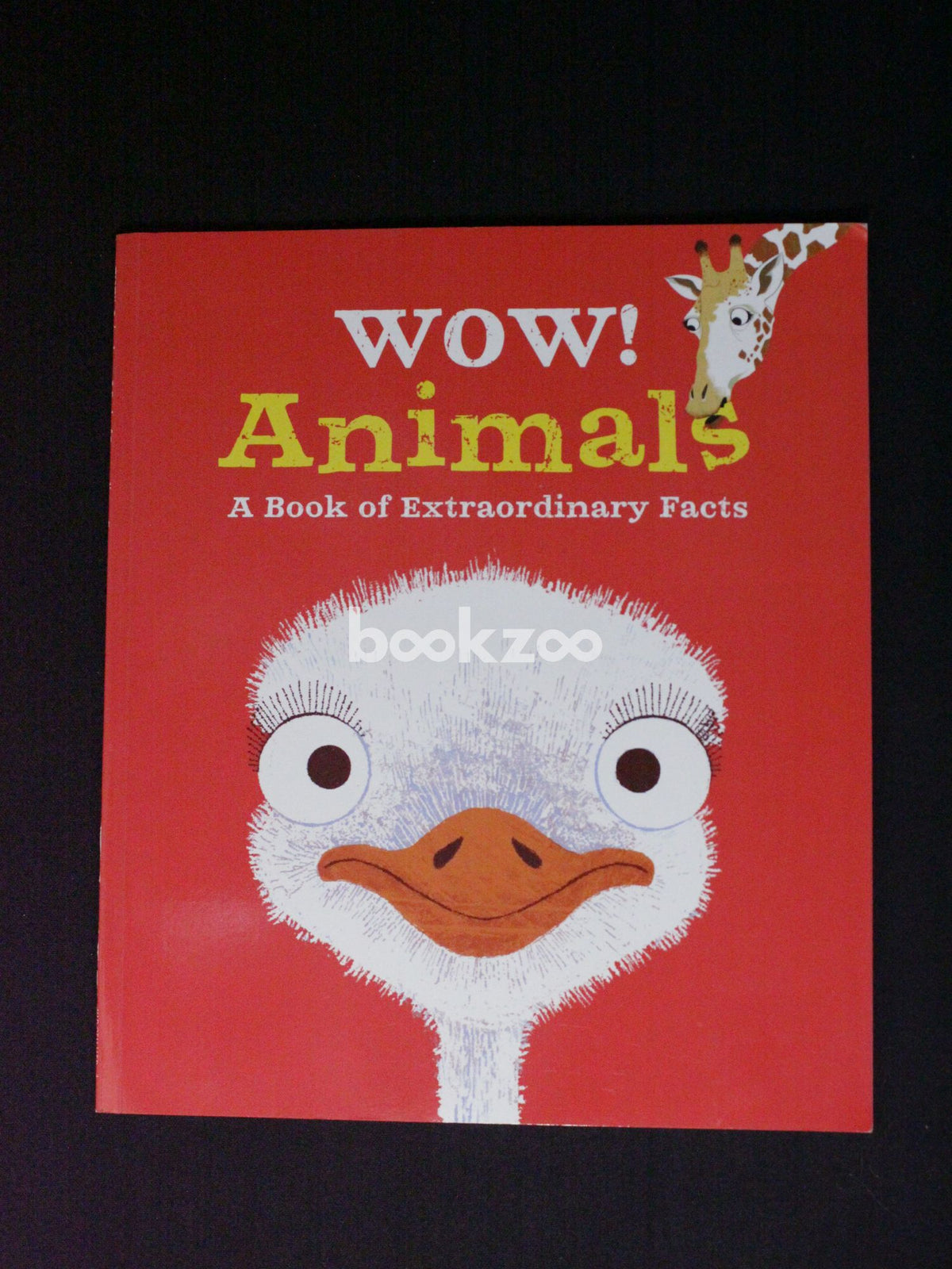 Buy Wow! Animals by Jacqueline McCann at Online bookstore bookzoo.in ...