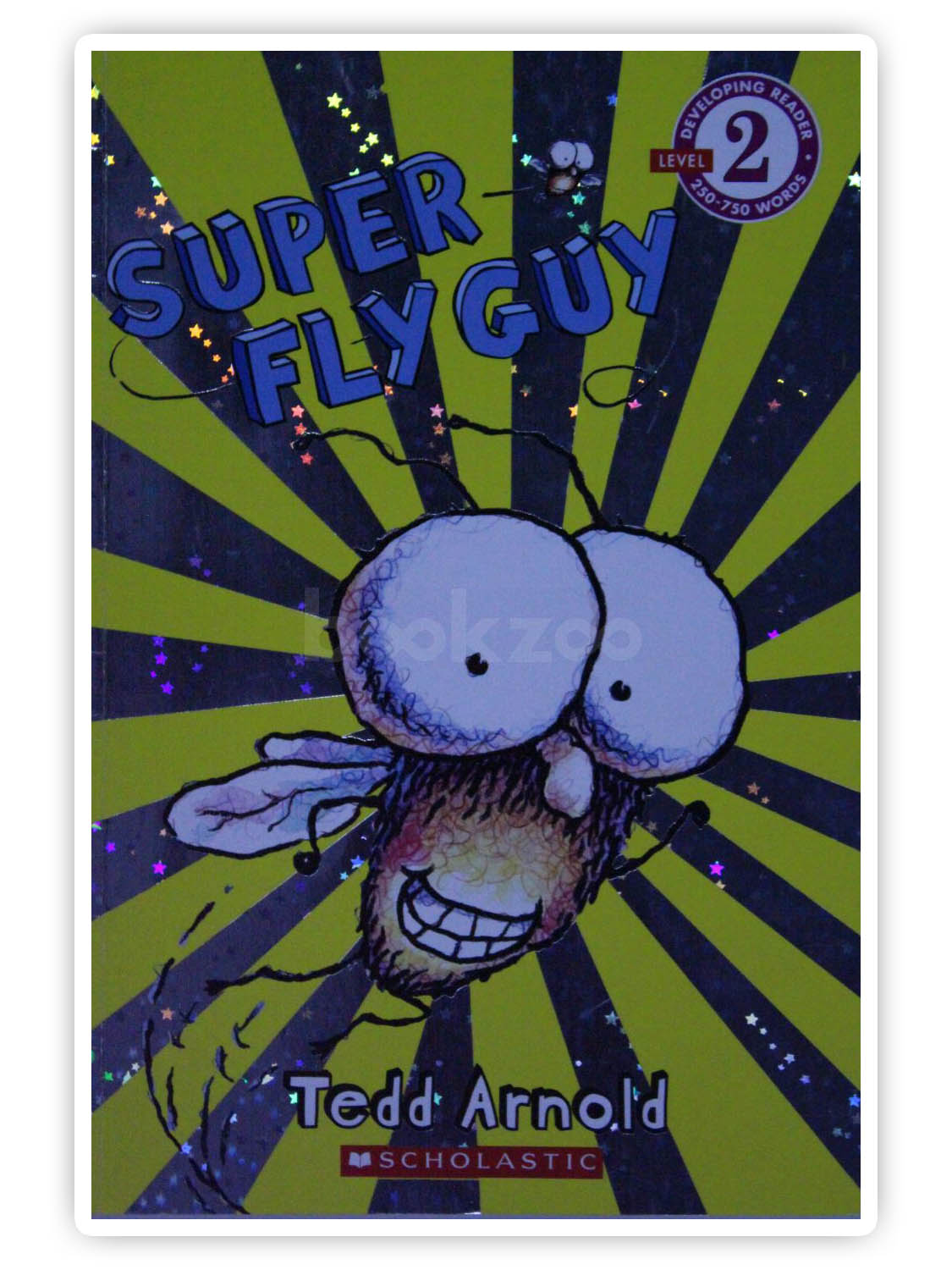 Buy Super Fly Guy by Tedd Arnold at Online bookstore bookzoo.in ...