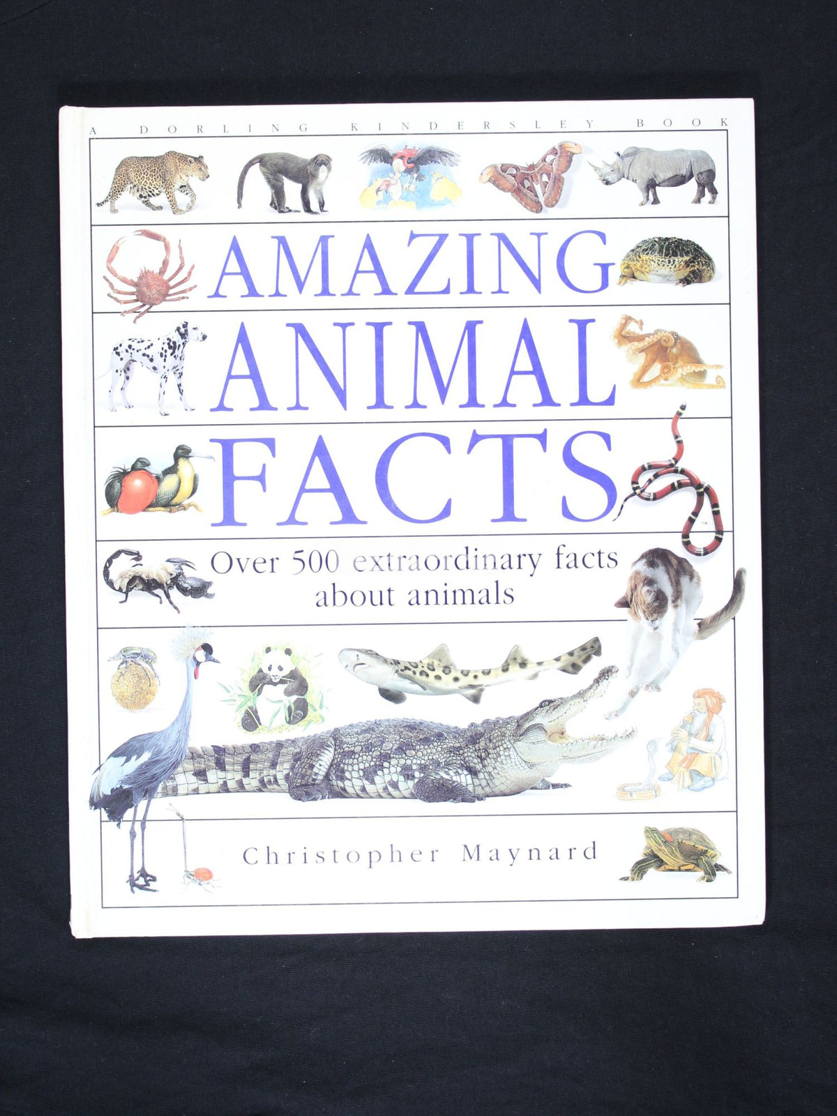 Buy Amazing Animal Facts by Christopher Maynard at Online bookstore ...