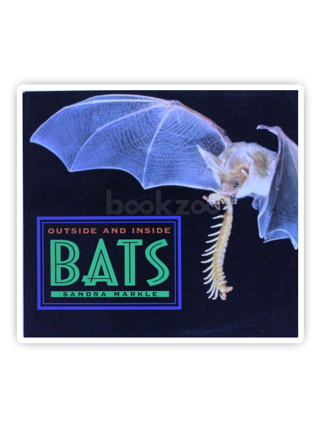 Buy Outside and Inside Bats by Sandra Markle at Online bookstore ...
