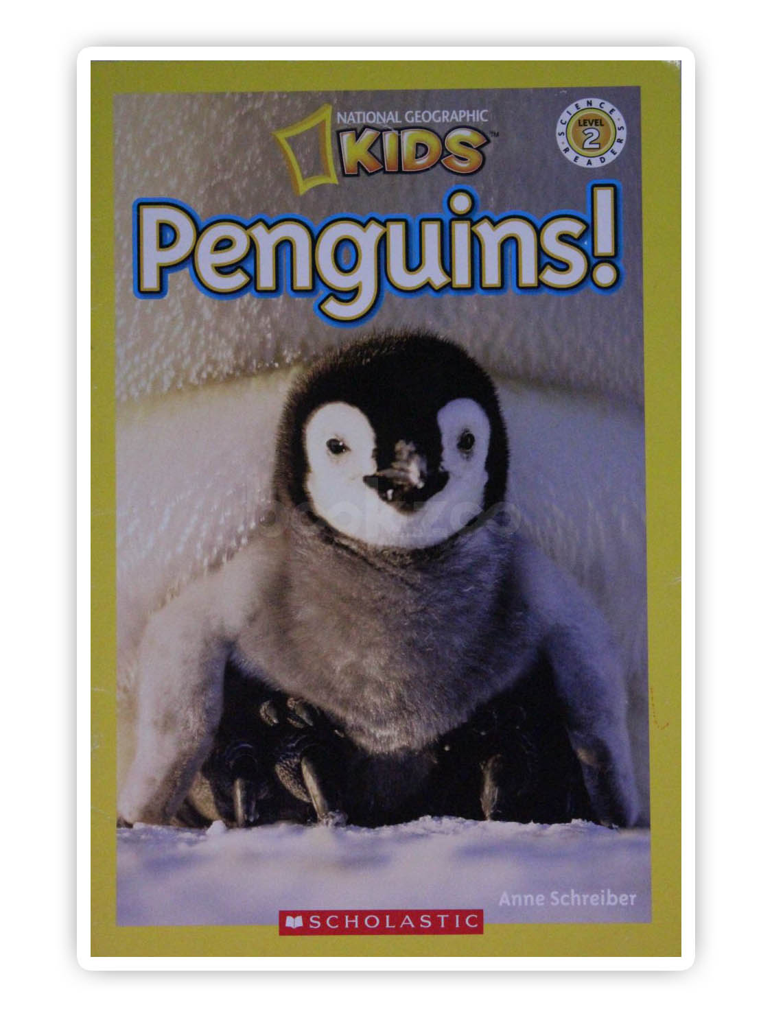 Buy National Gepgraphy Kids: Penguins! by Anne Schreiber at Online ...