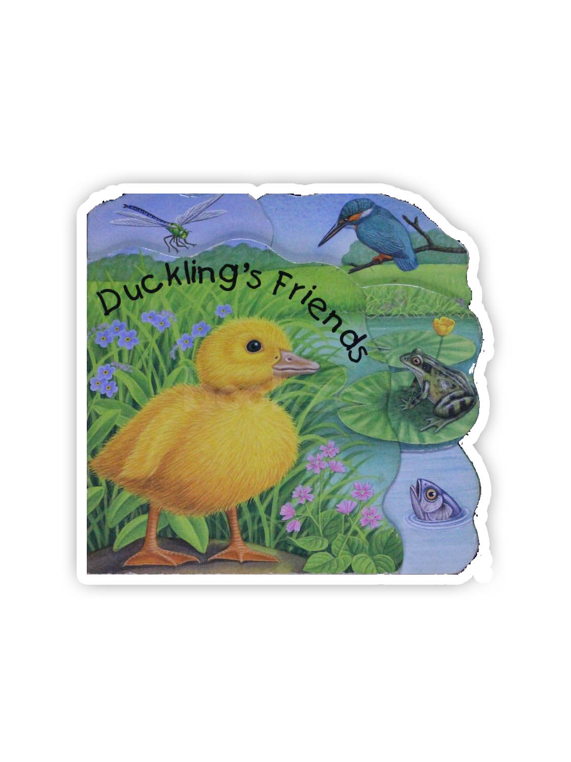 Buy Duckling's Friends by Janet Allison Brown at Online bookstore ...