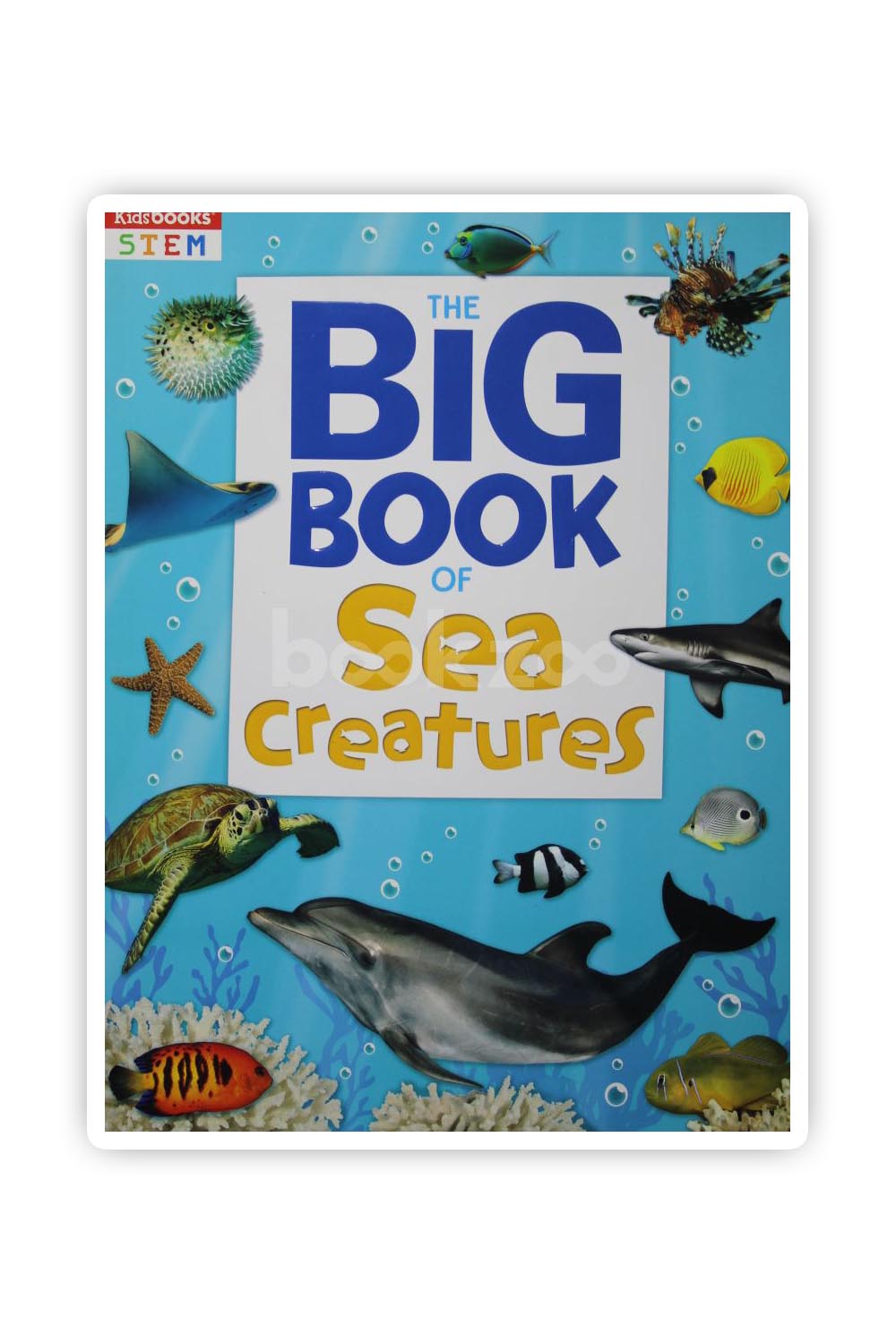 Buy Big Book of Sea Creatures by Esther Reisberg at Online bookstore ...