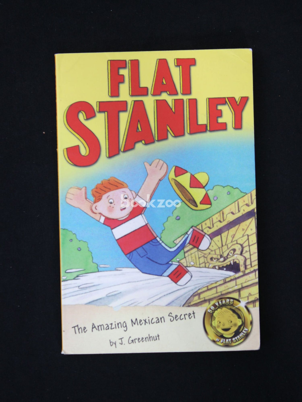 Buy Flat Stanley:The Amazing Mexican Secret by Josh Greenhut, Jeff ...