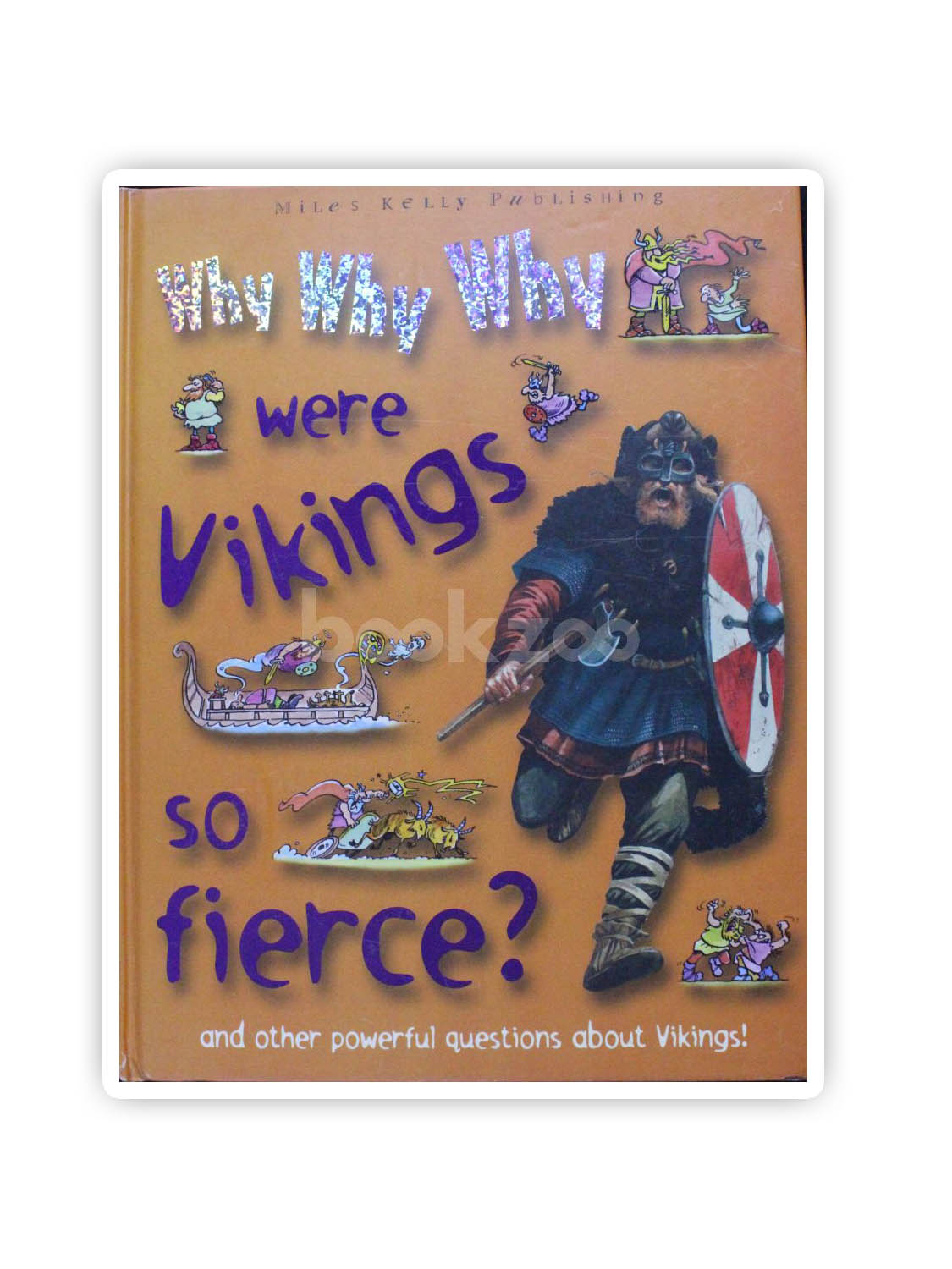 Buy Why Why Why Were Vikings So Fierce by Belinda Gallagher at Online ...