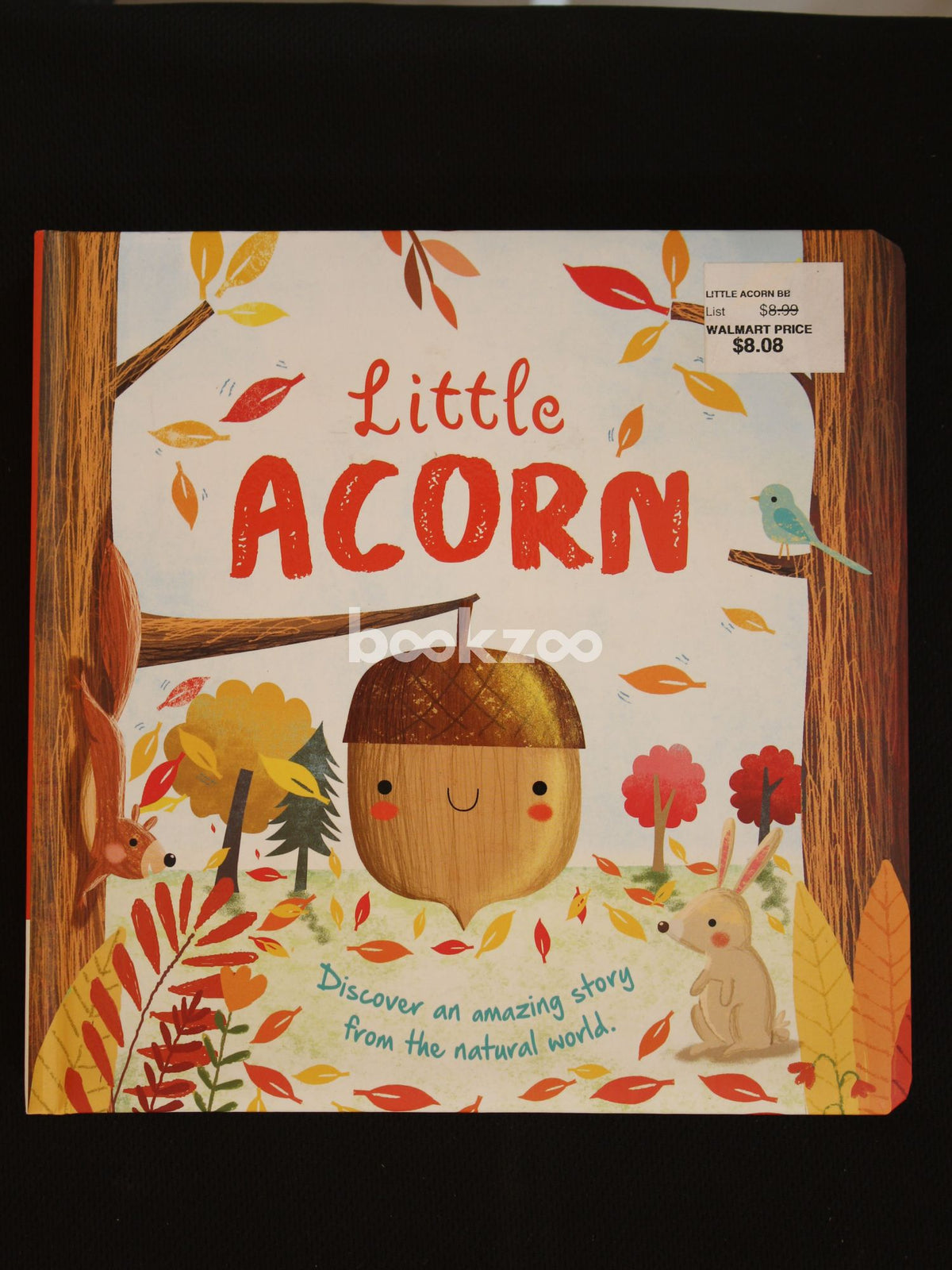 Buy Little Acorn by Melanie Joyce at Online bookstore bookzoo.in ...
