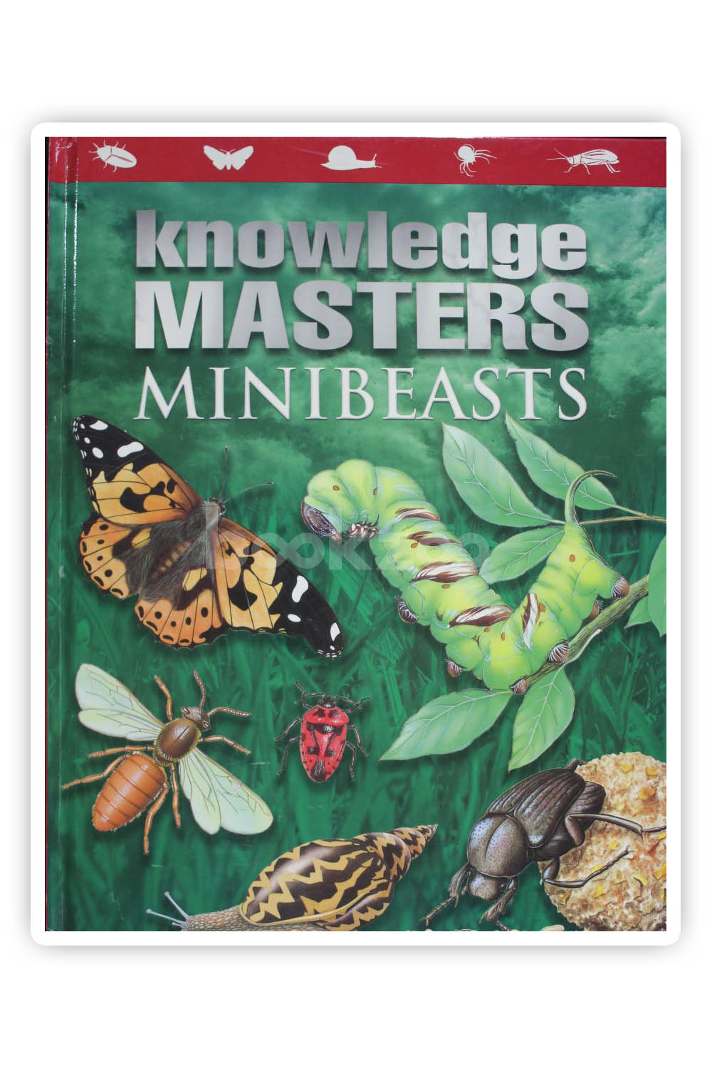Buy Minibeasts by Gerald Legg at Online bookstore bookzoo.in — Bookzoo.in