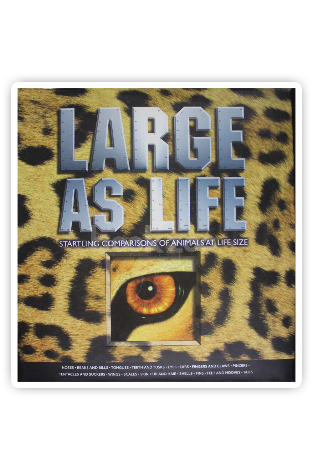 Buy Large as Life by Steve Parker at Online bookstore bookzoo.in ...