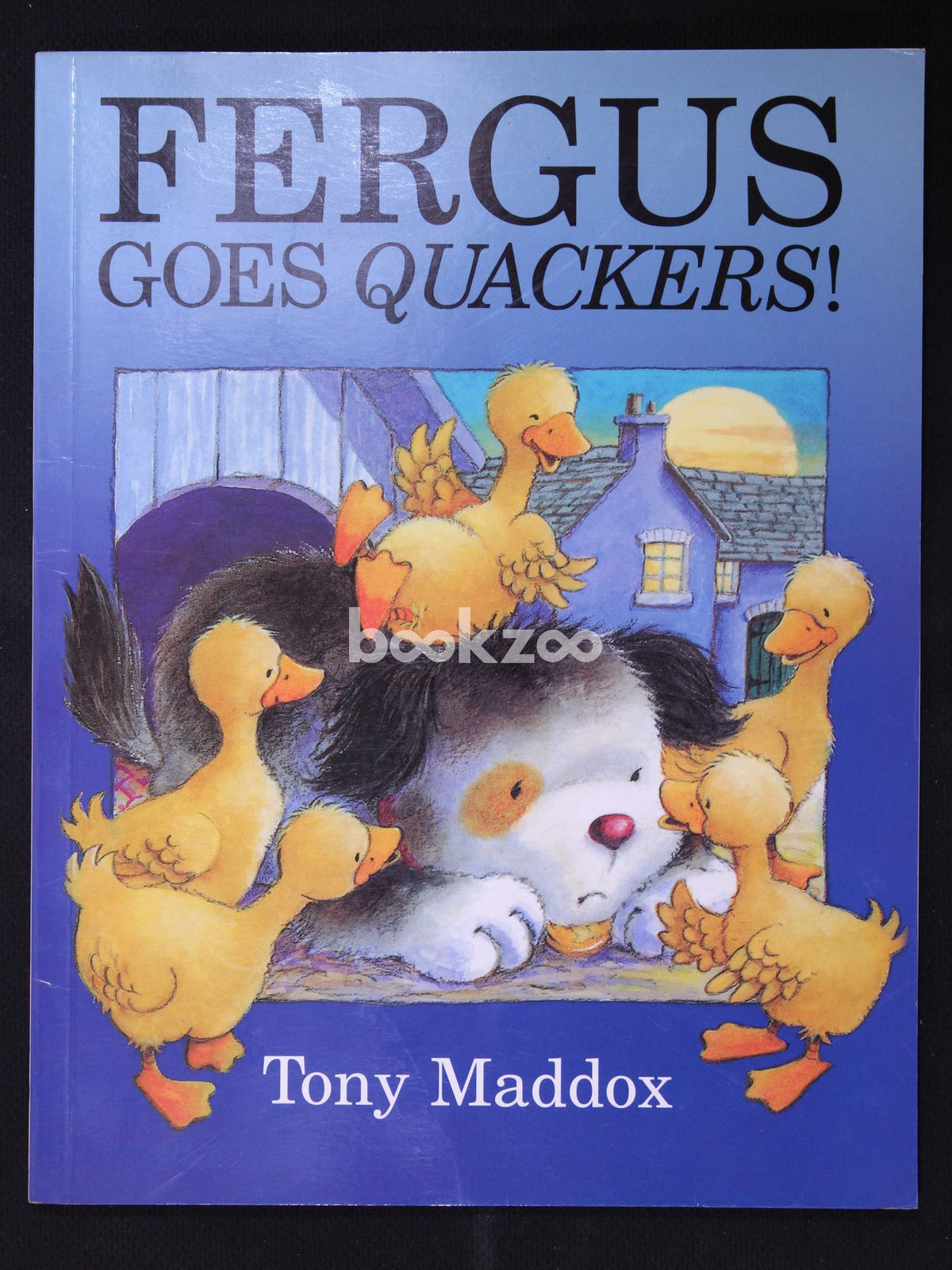 Buy Fergus Goes Quackers! by Tony Maddox at Online bookstore bookzoo.in — Bookzoo.in