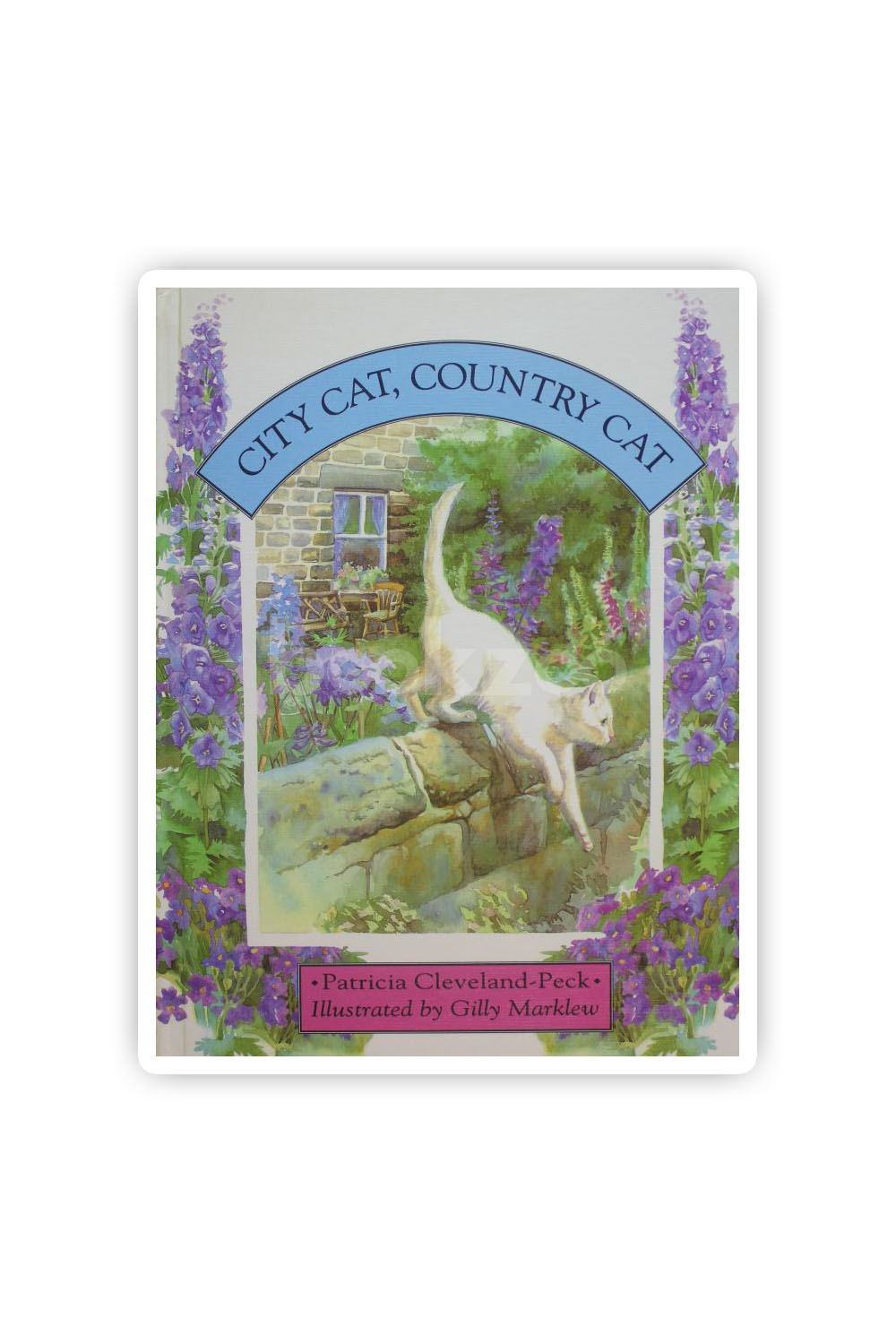 Buy City Cat, Country Cat by Patricia Cleveland Peck at Online ...
