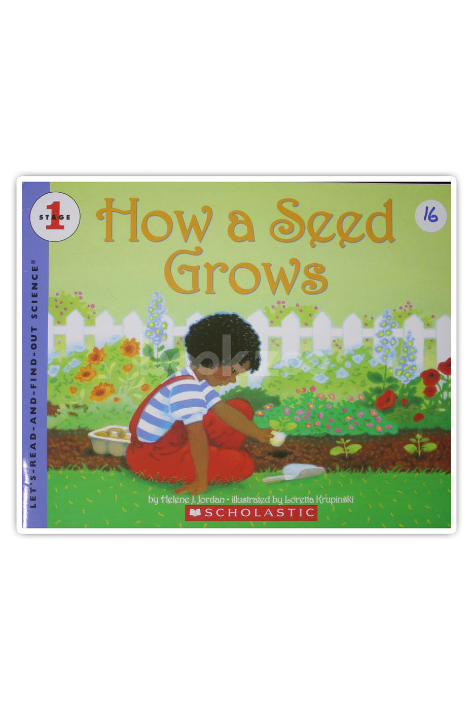 Buy How a Seed Grows by HELEN lester at Online bookstore bookzoo.in ...