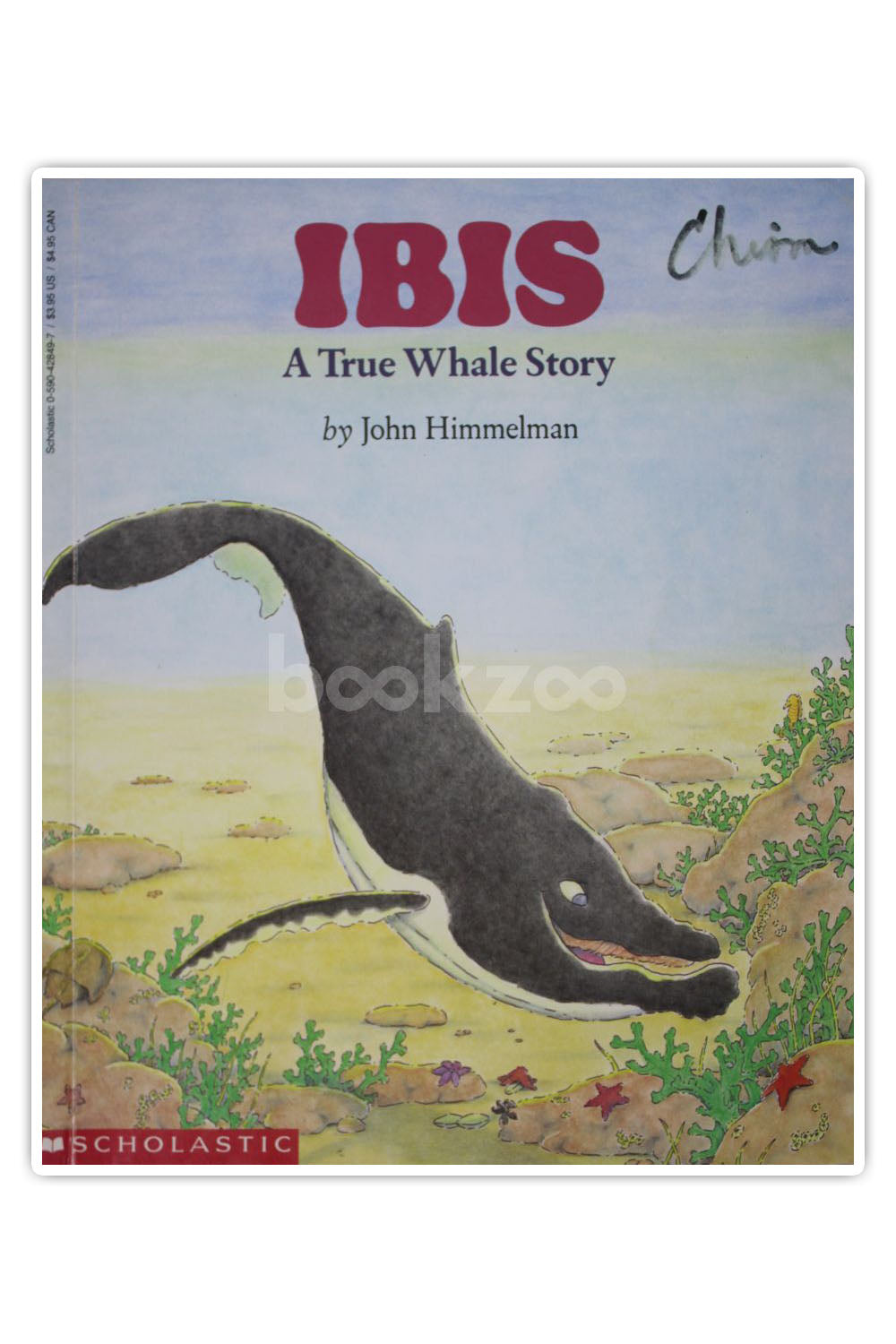 Buy Ibis: A True Whale Story by John Himmelman at Online bookstore ...