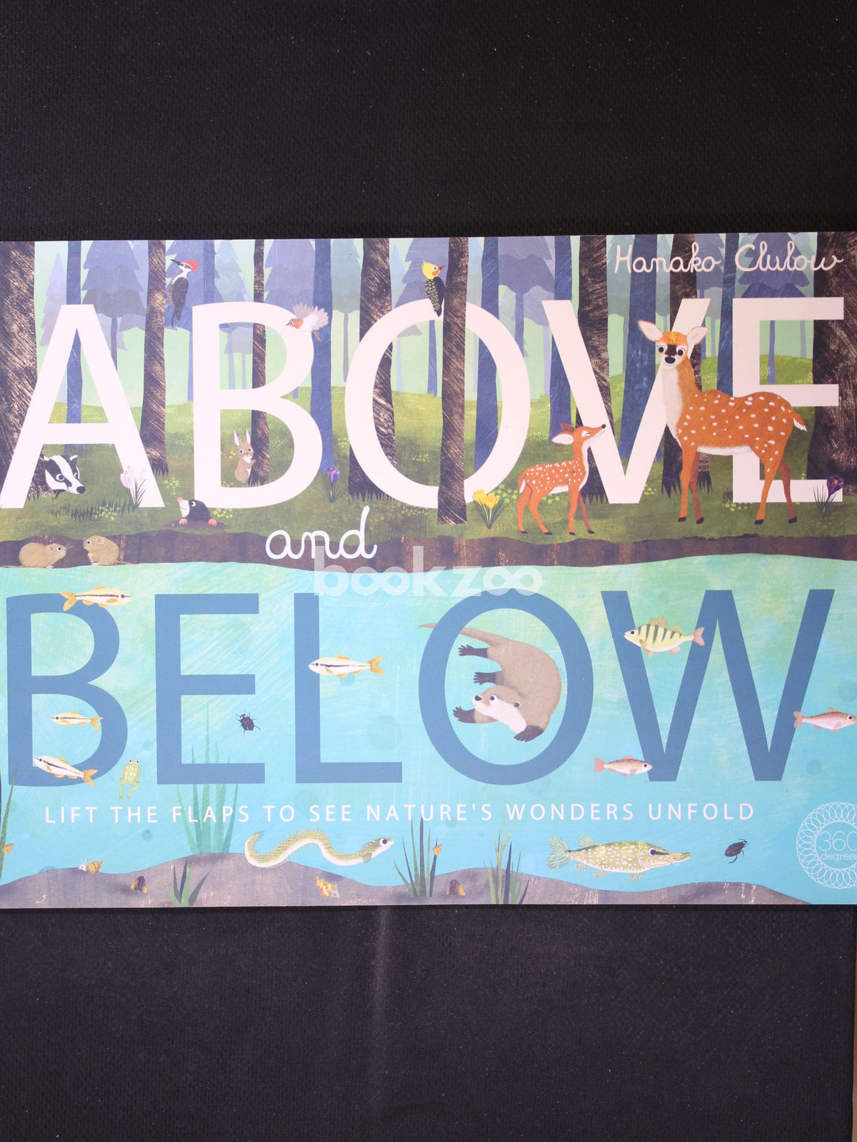 Buy Above and Below by Hanako Clulow at Online bookstore bookzoo.in ...