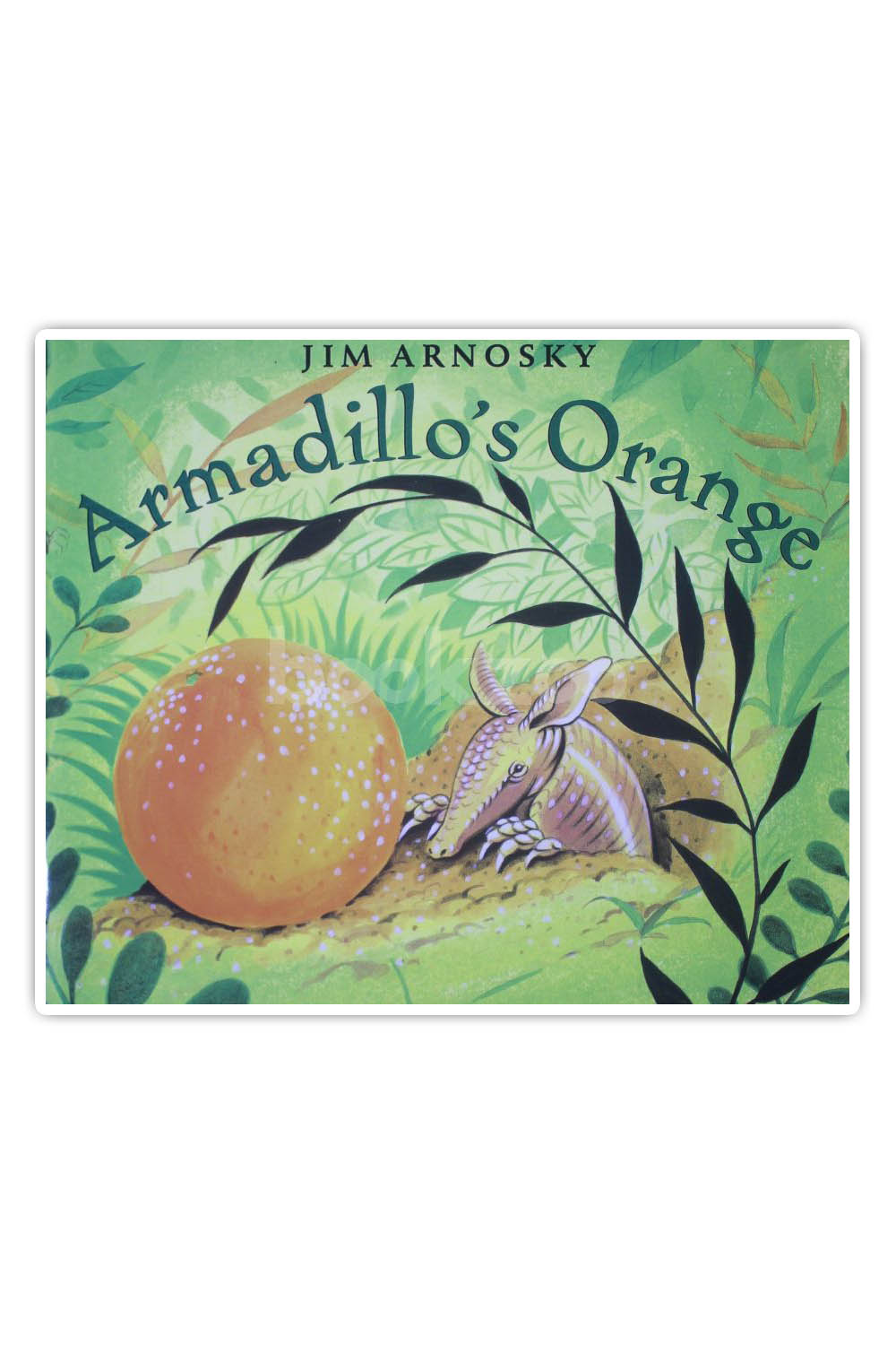 Buy Armadillo's Orange by Jim arnosky at Online bookstore bookzoo.in — Bookzoo.in