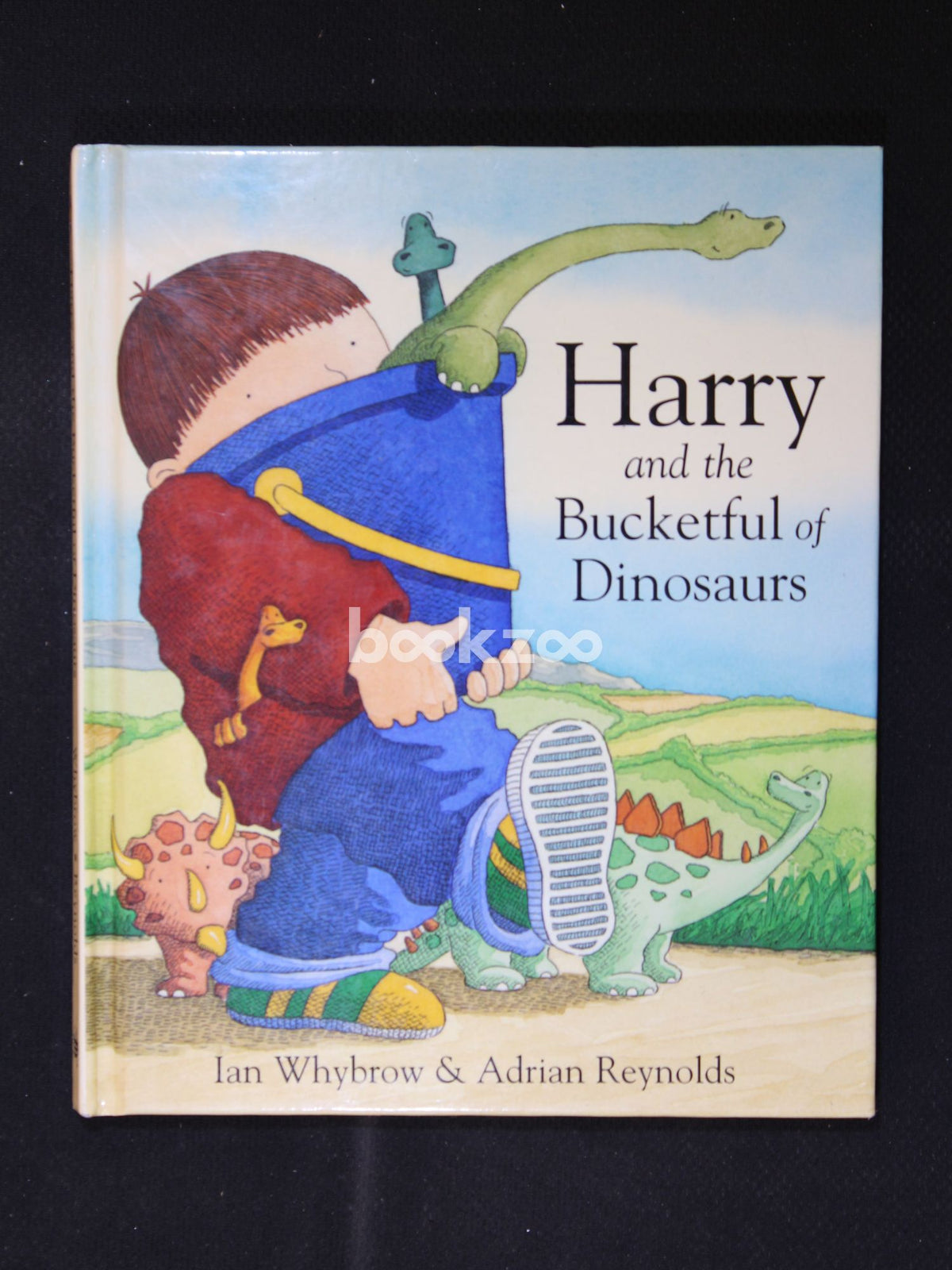 Buy Harry and the Bucketful of Dinosaurs by Ian Whybrow & Adrian ...