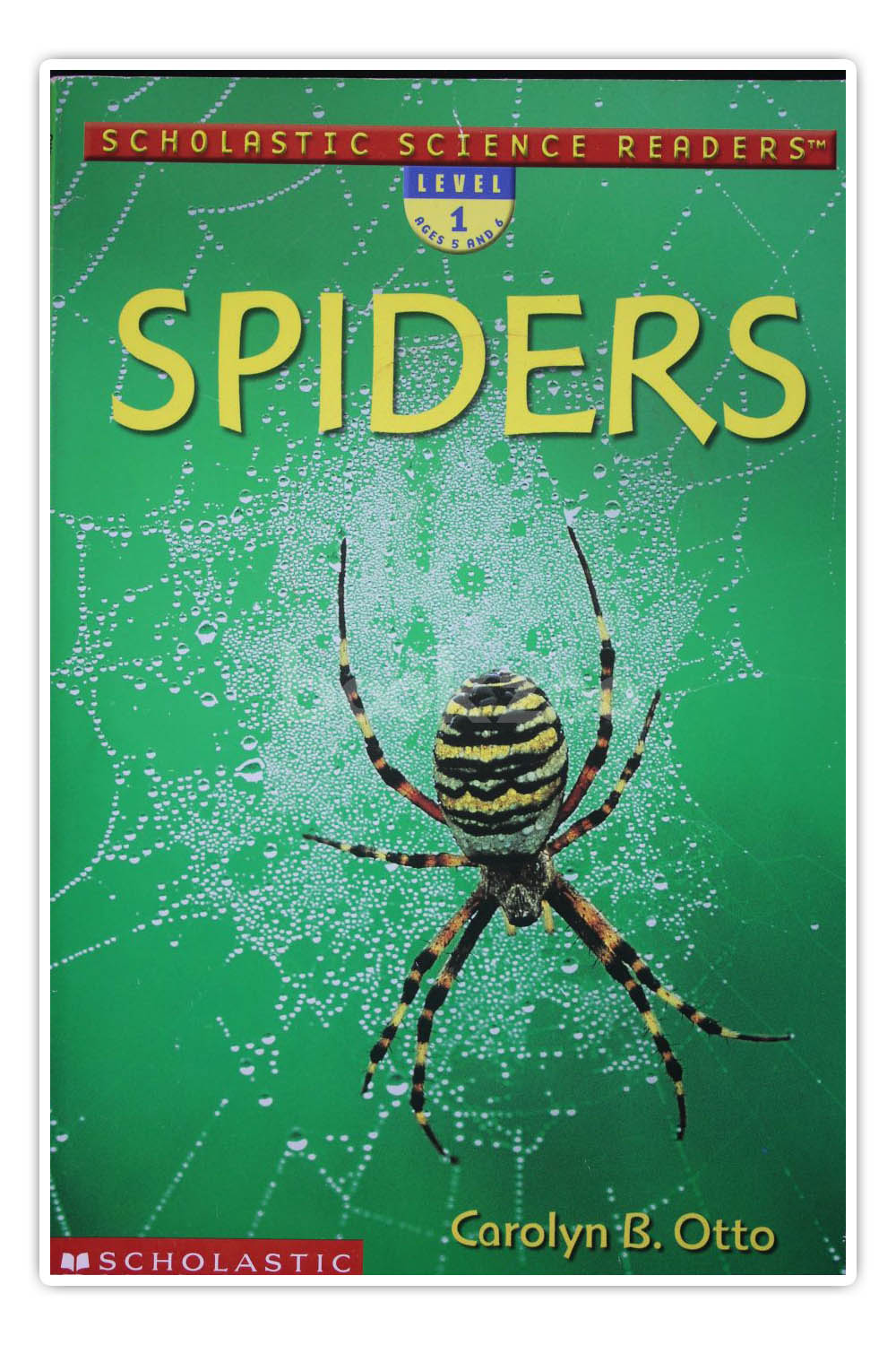 Buy Scholastic reader-Spiders-Level 1 by Carolyn B. Otto at Online ...