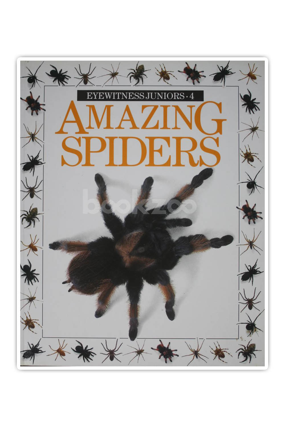 Buy Amazing Spiders by Dorling Kindersley Ltd at Online bookstore ...