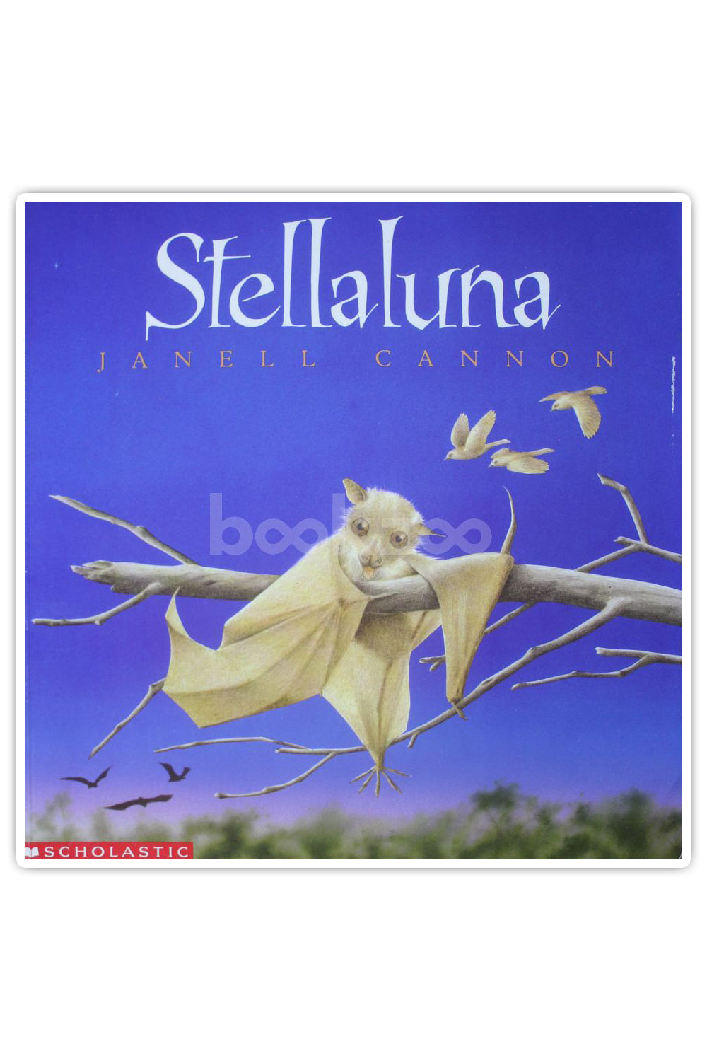Buy Stellaluna by Janell Cannon at Online bookstore bookzoo.in — Bookzoo.in