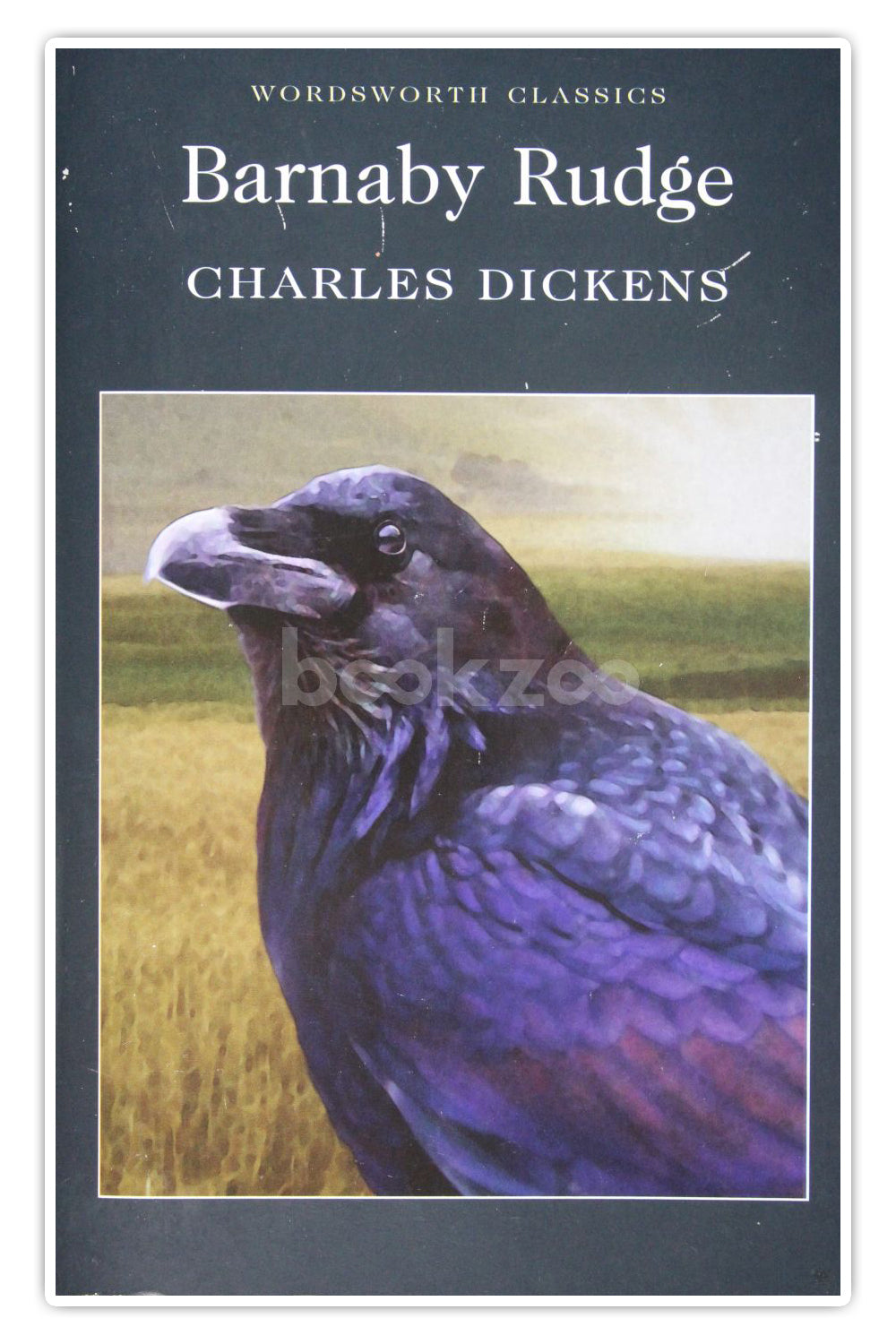 Buy Barnaby Rudge by Charles Dickens at Online bookstore bookzoo.in ...