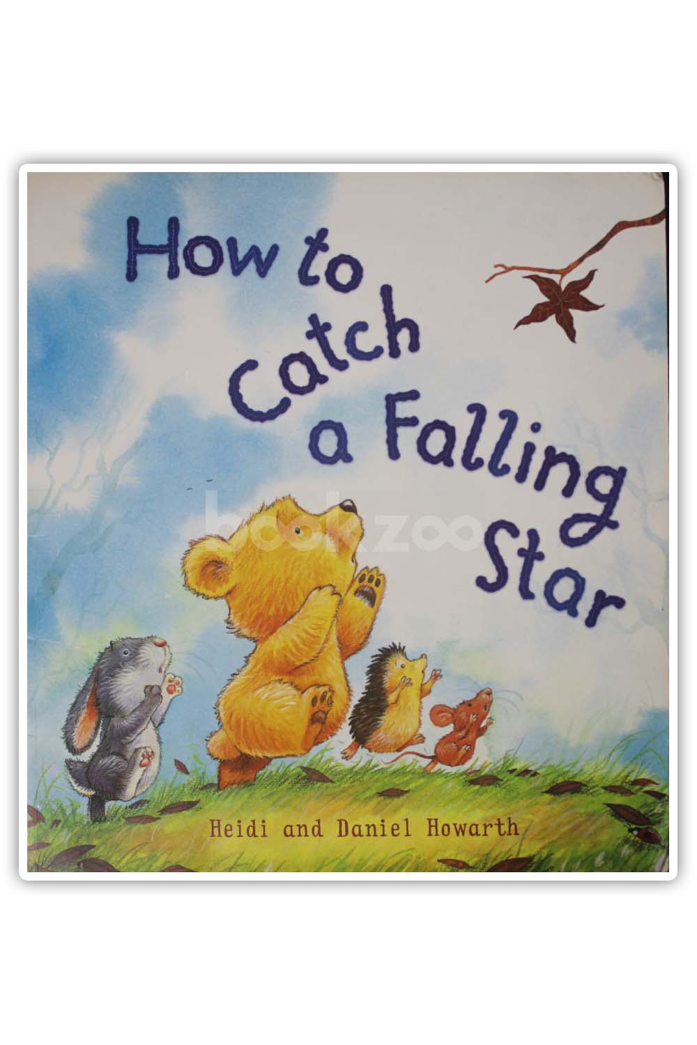 Buy How to catch a Falling Star by Heidi Howarth at Online bookstore ...