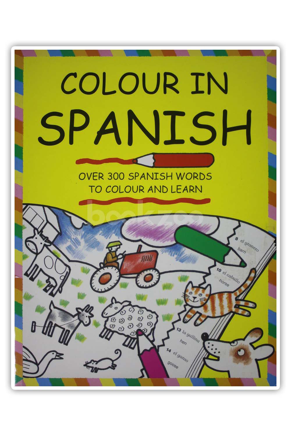 Buy Color in Spanish by Catherine Bruzzone at Online bookstore bookzoo ...