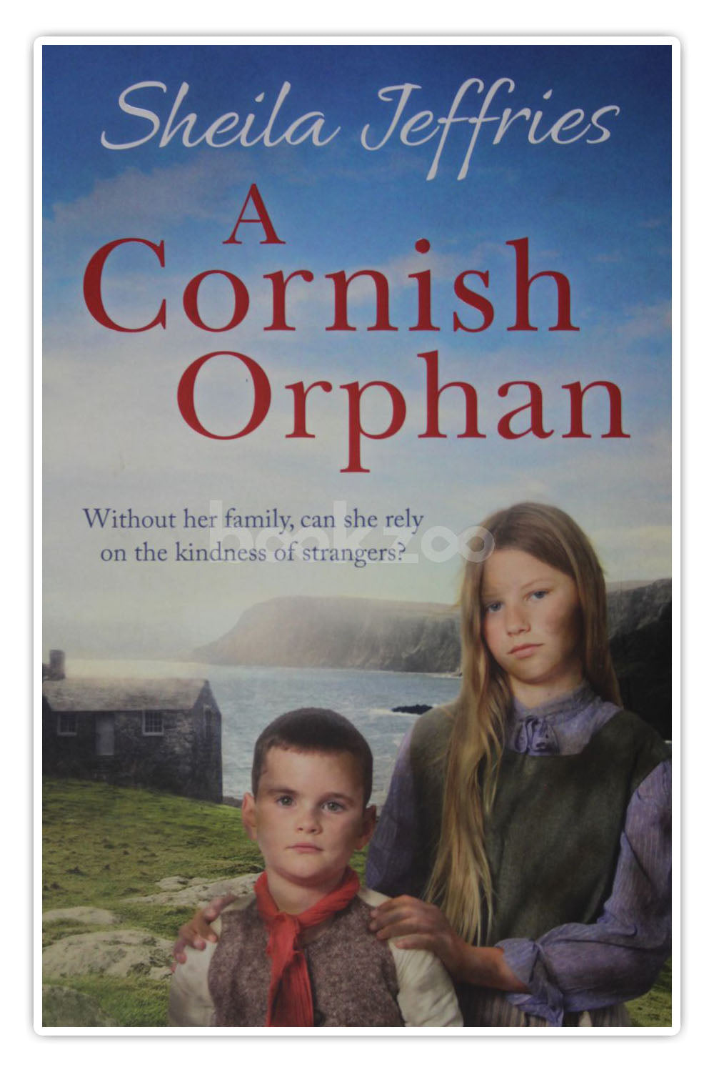 Buy A Cornish Orphan by Sheila Jeffries at Online bookstore bookzoo.in ...