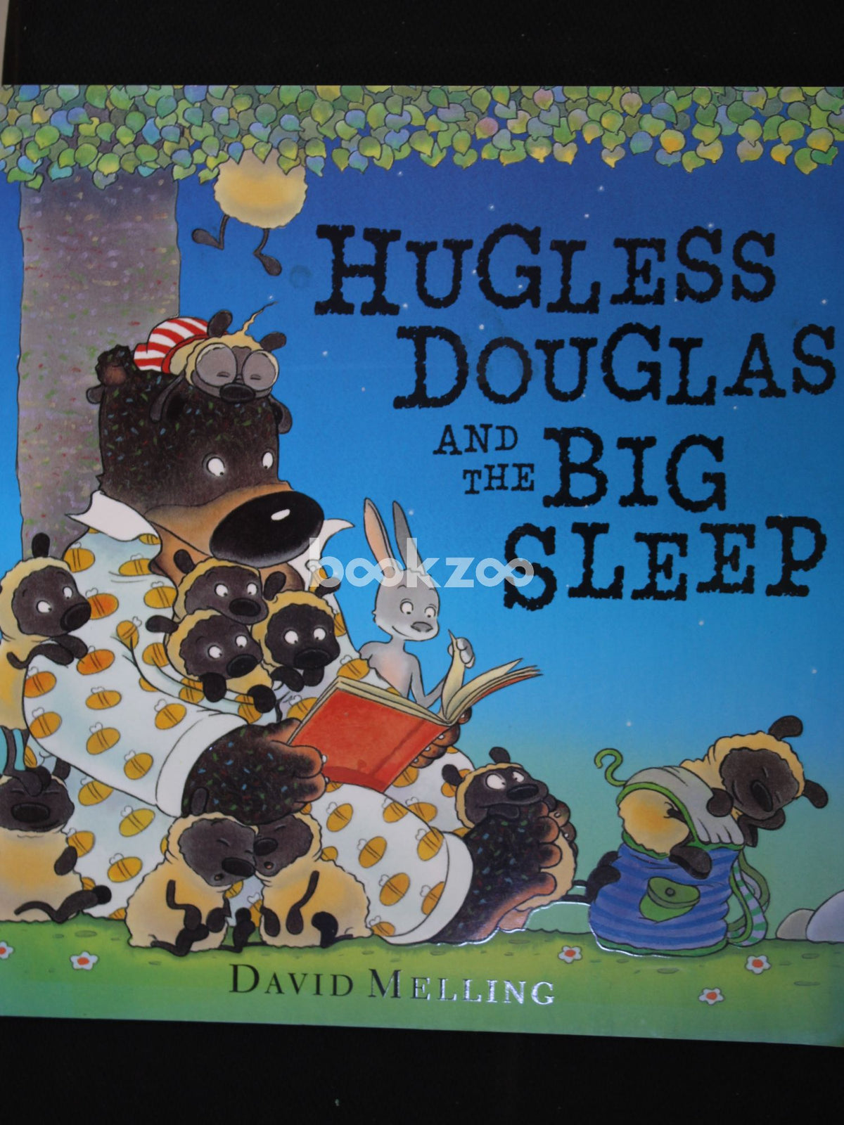 Buy Hugless Douglas and the Big Sleep by David Melling at Online ...
