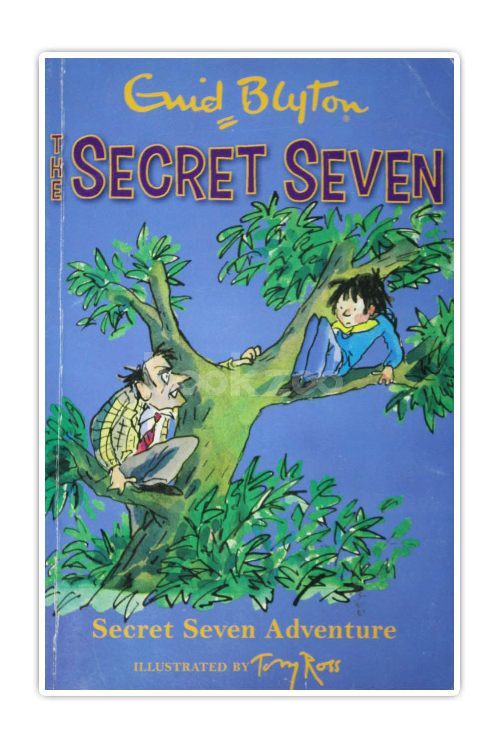 Buy Secret Seven Adventure by Enid Blyton at Online bookstore bookzoo ...